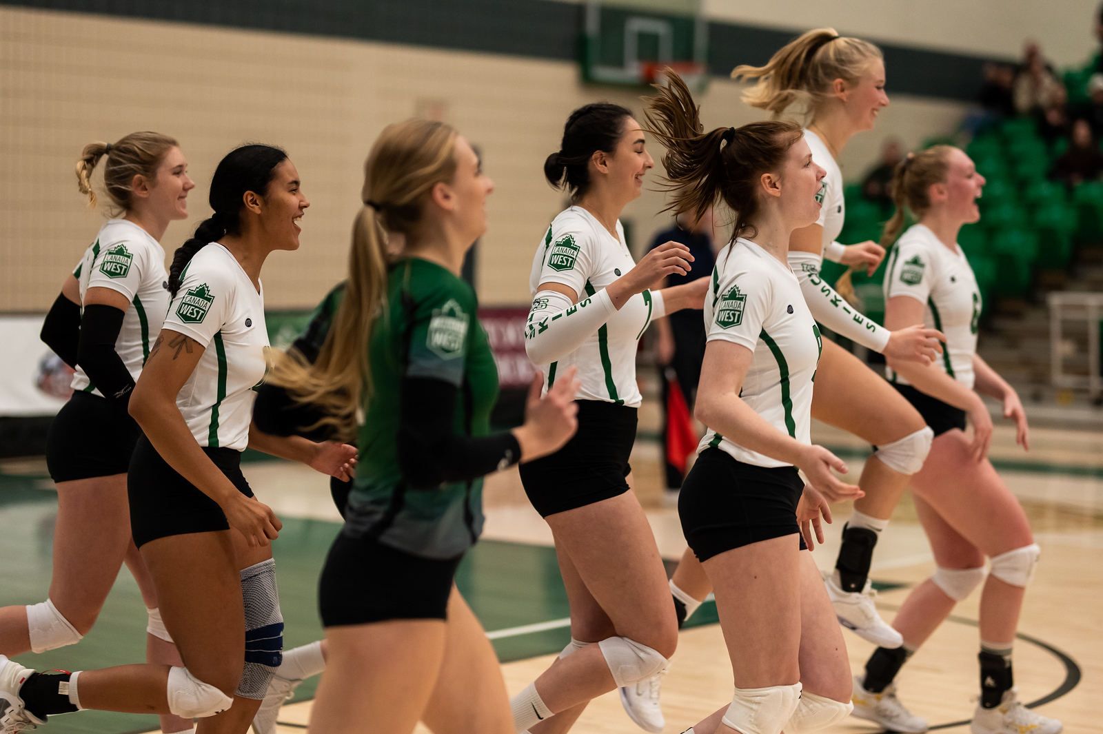 Julia Sprentz - Women's Volleyball - Huskie Athletics