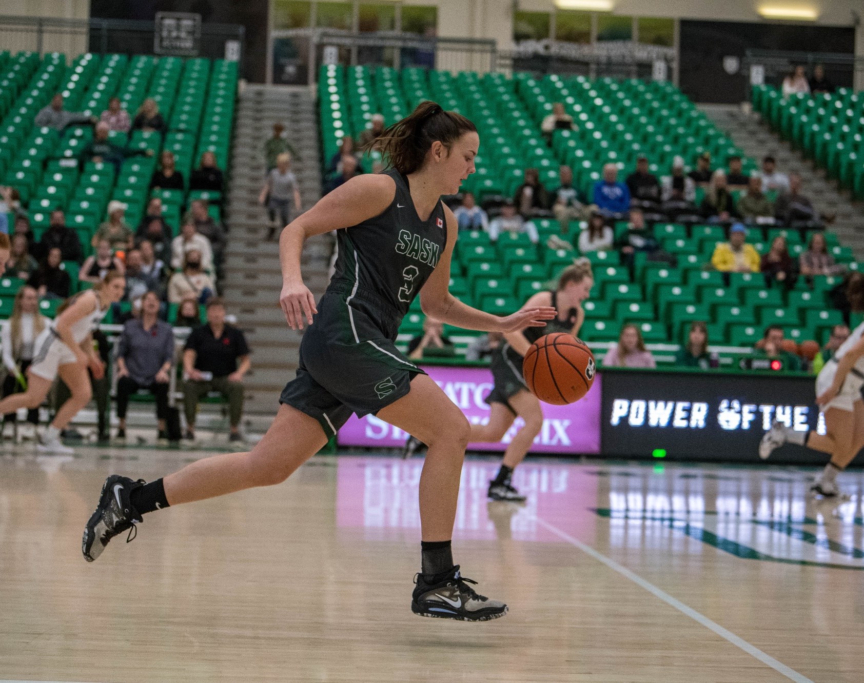 Carly Ahlstrom - Women's Basketball - Huskie Athletics