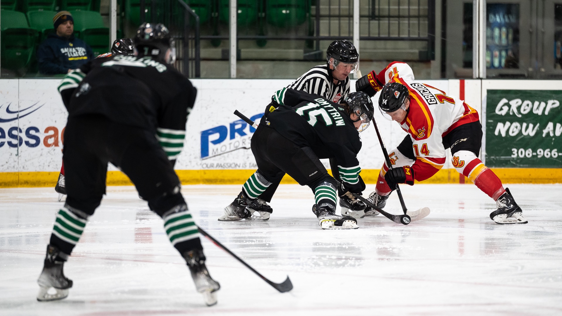 Shane Collins - Men's Hockey - Huskie Athletics