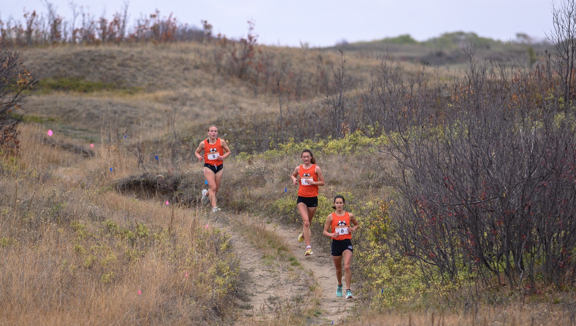 XC: Women Take Top Spot at Dakota Classic - Huskie Athletics