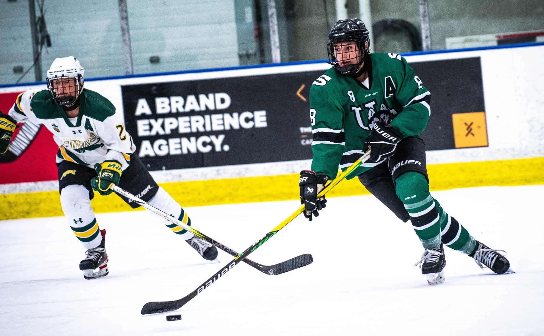 Isabella Pozzi - Women's Hockey - Huskie Athletics
