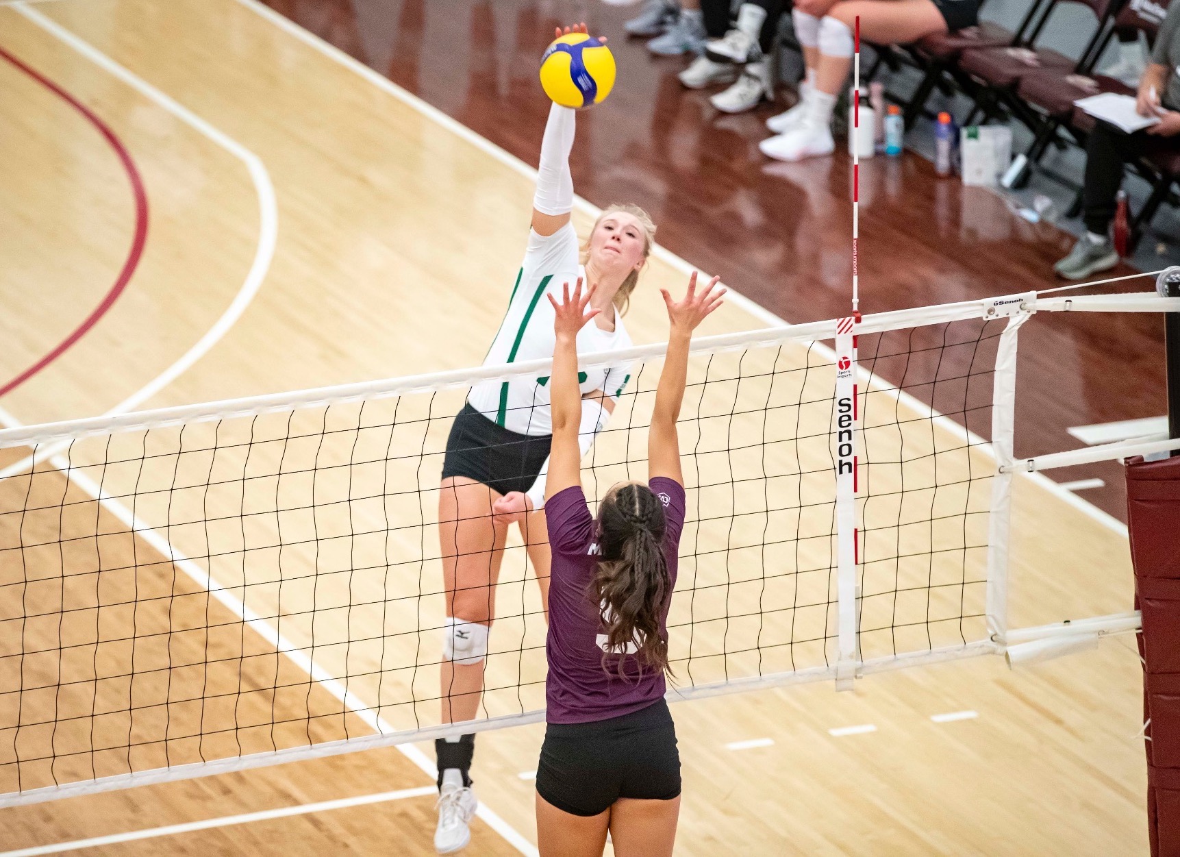 Devyn Ethier - Women's Volleyball - Huskie Athletics