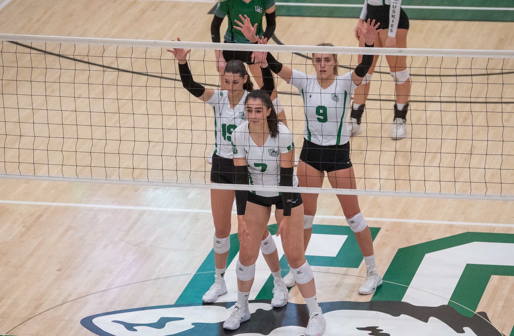 Julia Sprentz - Women's Volleyball - Huskie Athletics