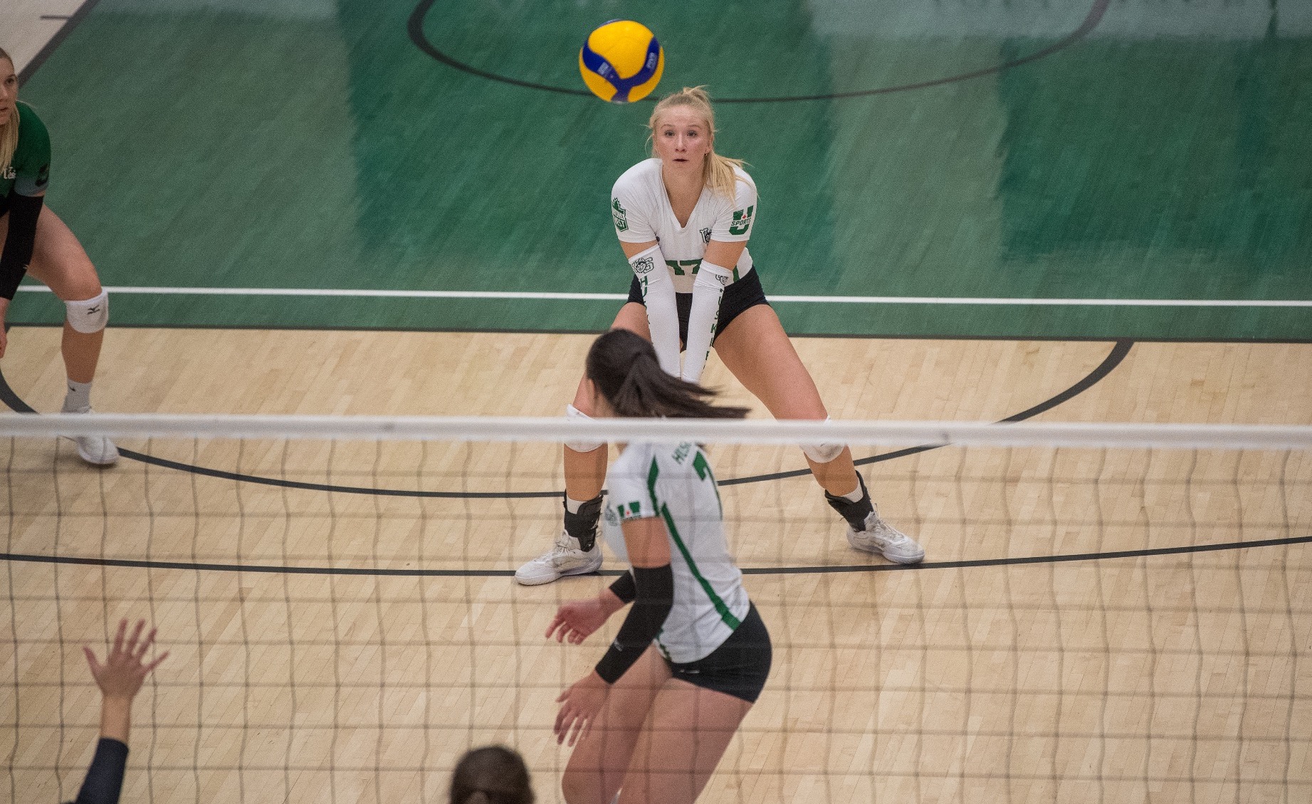 Devyn Ethier - Women's Volleyball - Huskie Athletics