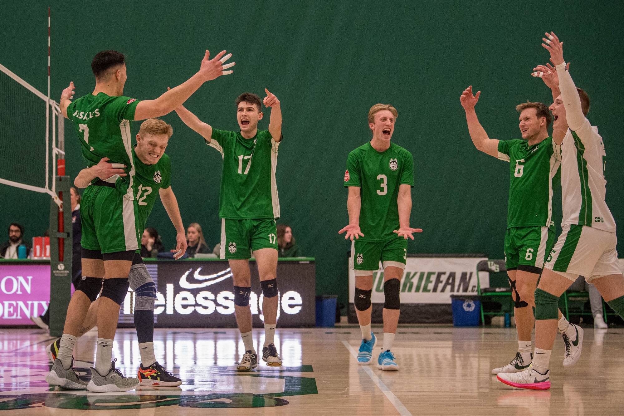 Quinn Buchanan - Men's Volleyball - Huskie Athletics