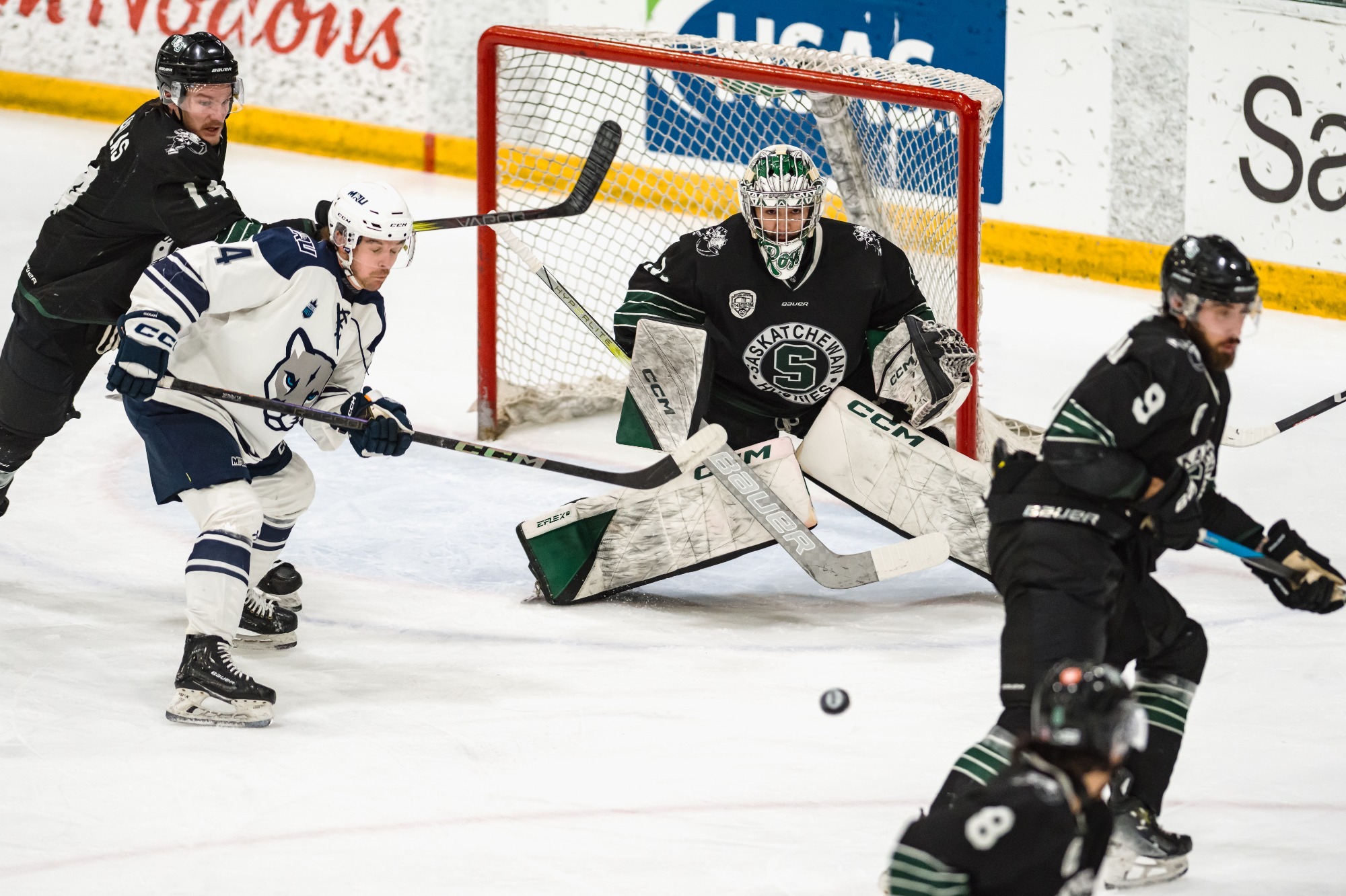 Gage Grassick & Roddy Ross Highlight 2025 Major 7 Award Winners ...