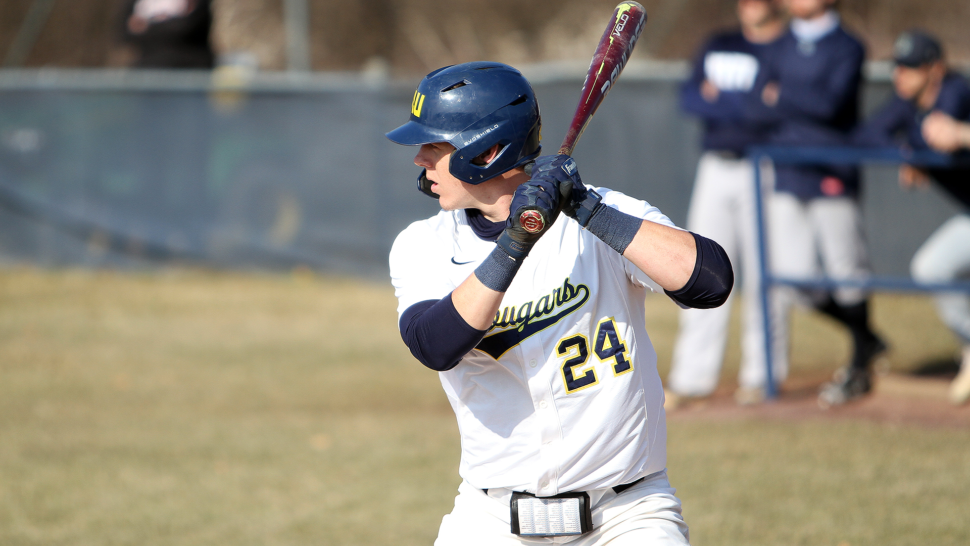 Carroll University Baseball