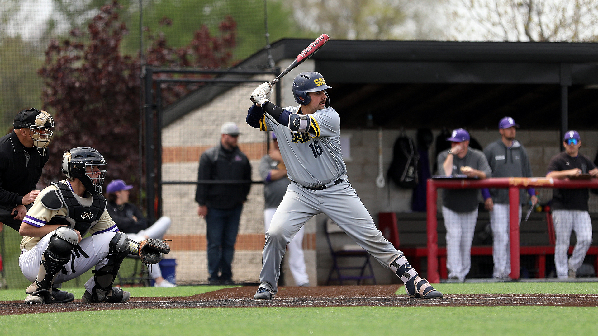 Peyton Harding - 2022 - Baseball - Spring Arbor University