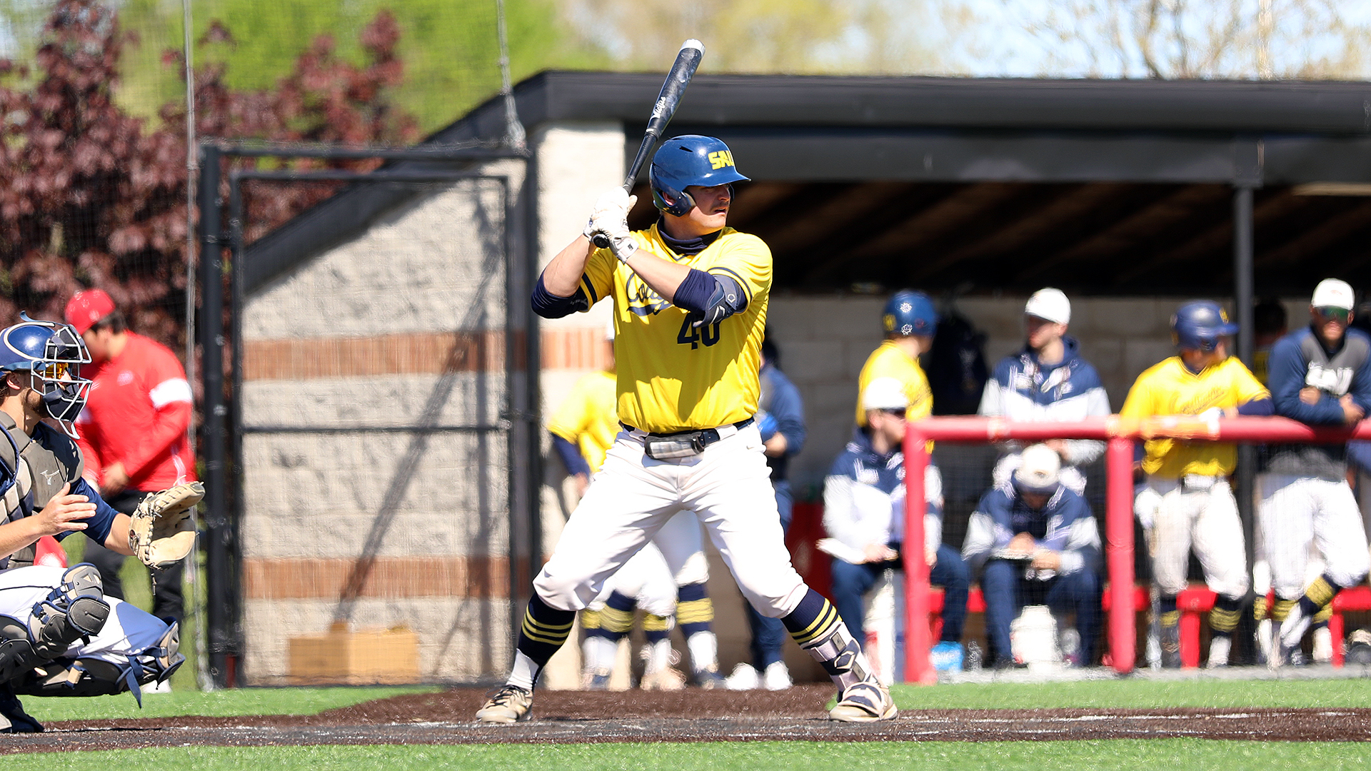 Baseball season comes to an end at CL Tournament - Spring Arbor University