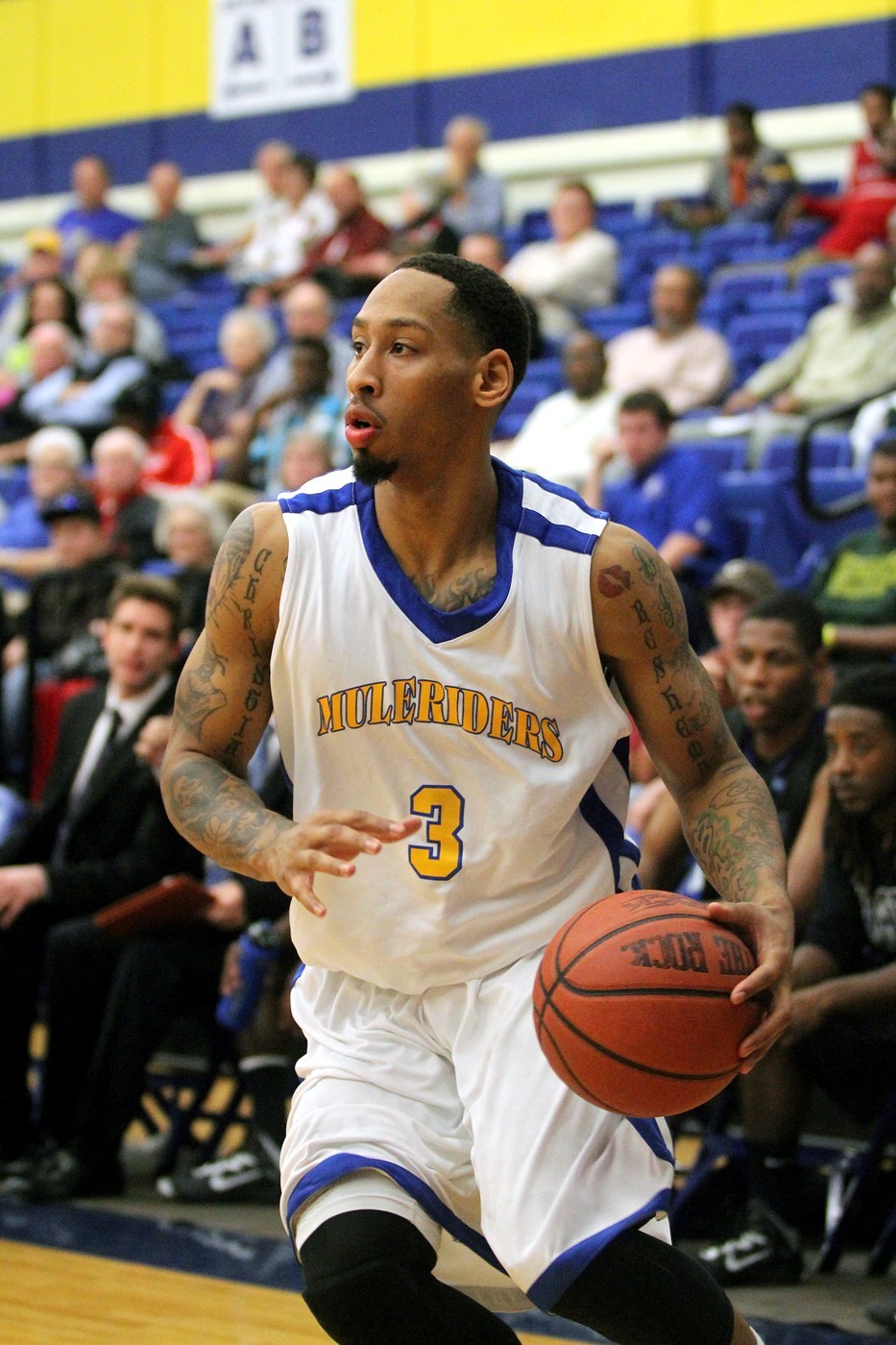Darrin Johnson - Men's Basketball - Southern Arkansas University Athletics