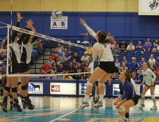 Taylor Reaume - Women's Volleyball - Southern Arkansas University Athletics