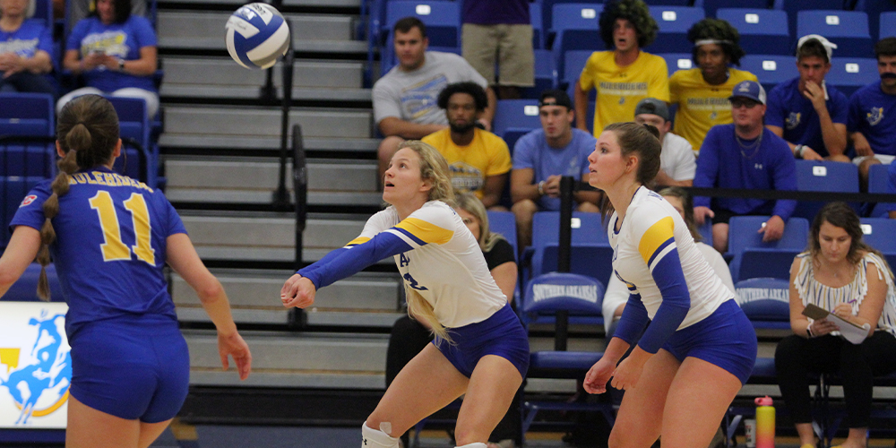 Kayley Davis - Women's Volleyball - Southern Arkansas University Athletics