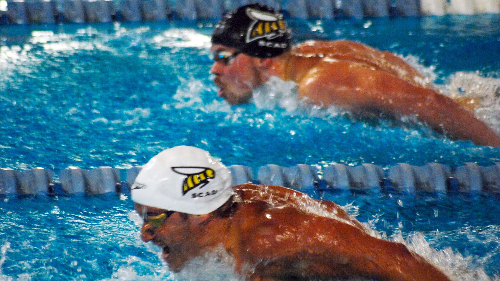 Brandon Vives - 2022-23 - No. 5 Men's Swimming - Savannah College of ...