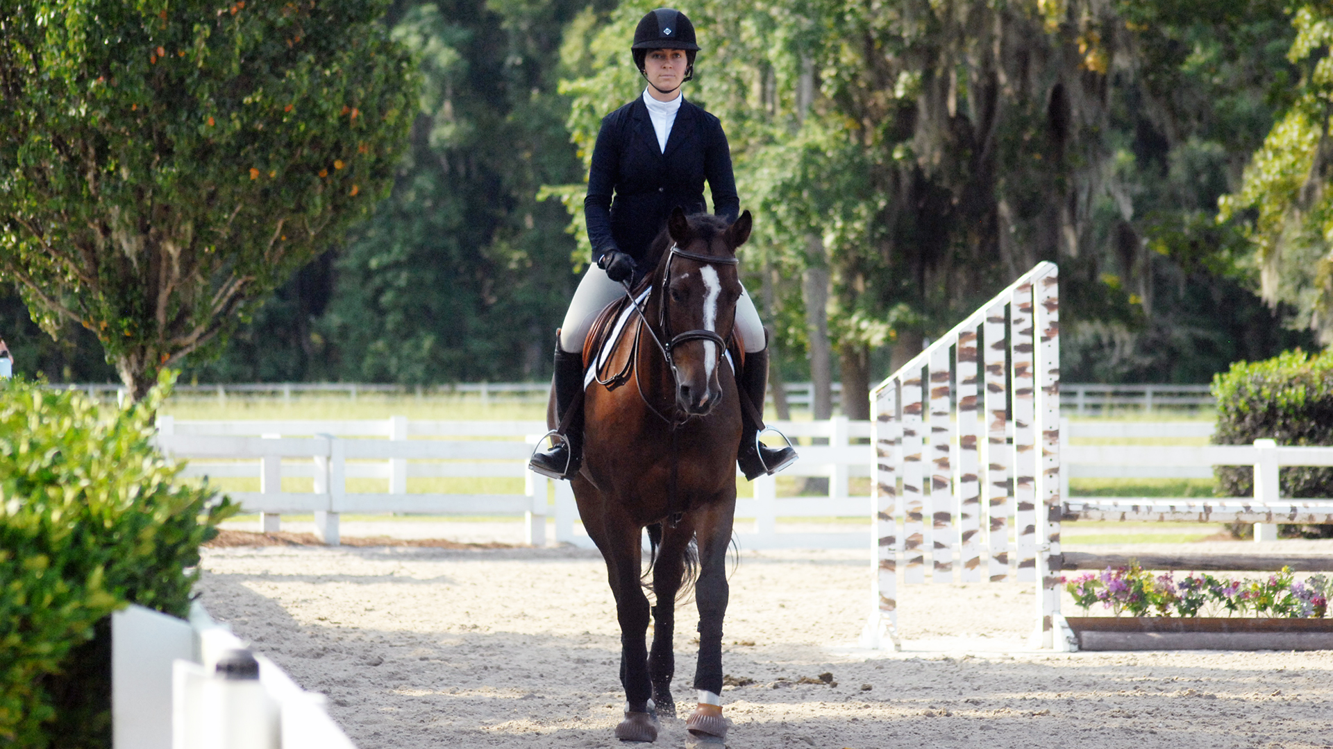 Anna Carter - 2022-23 - Equestrian - Savannah College of Art and Design ...