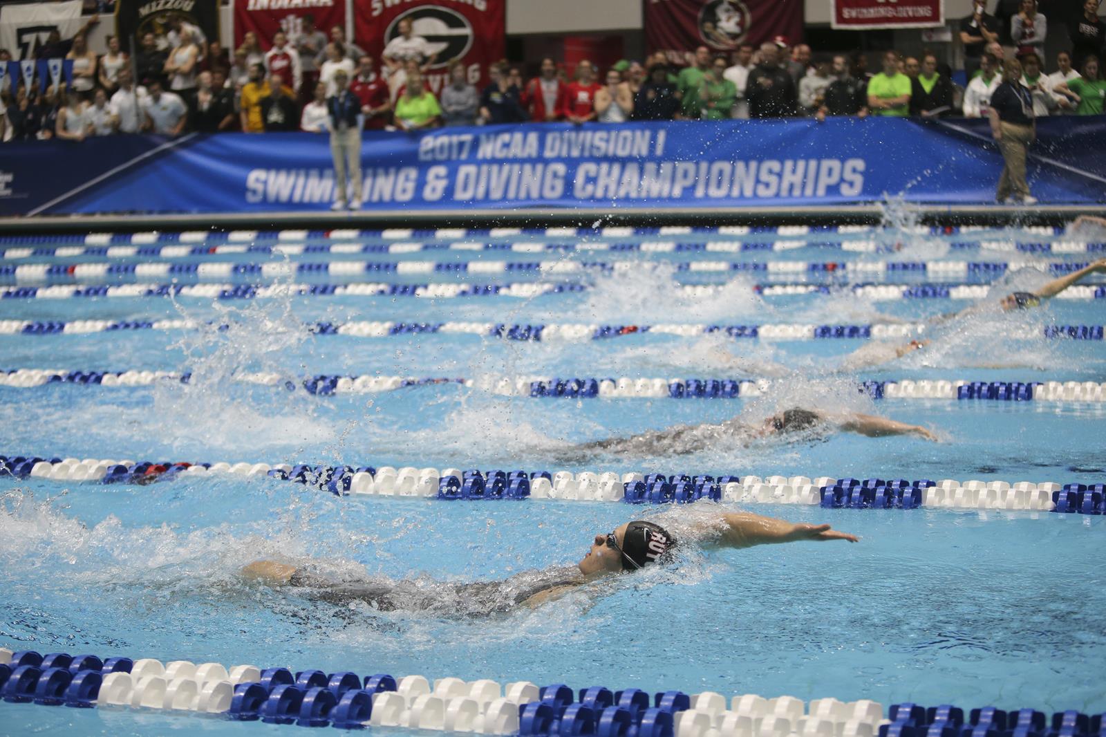 Francesca Stoppa - Women's Swimming & Diving - Rutgers University Athletics