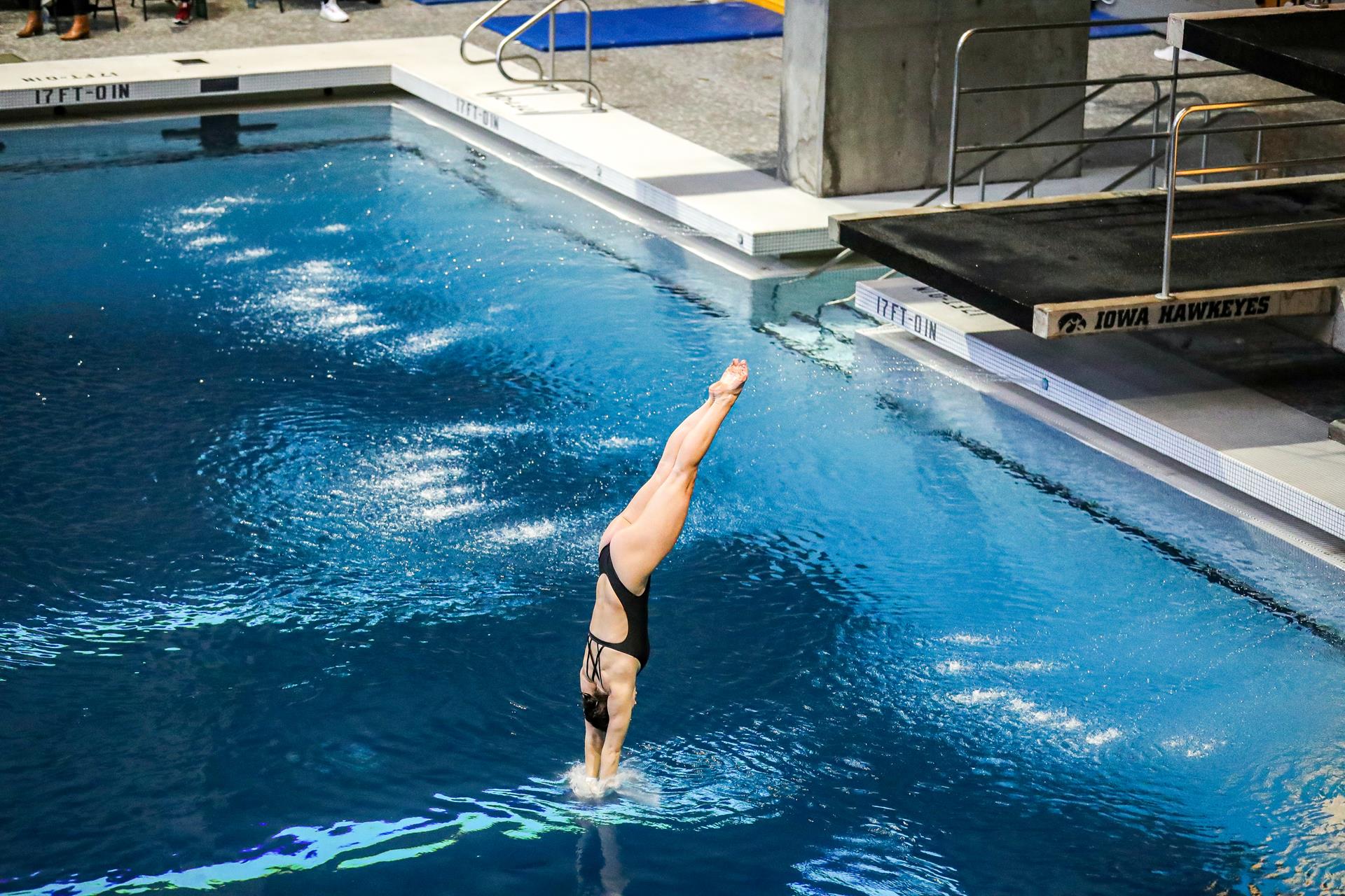 Marina Wilkins - Women's Swimming & Diving - Rutgers University Athletics