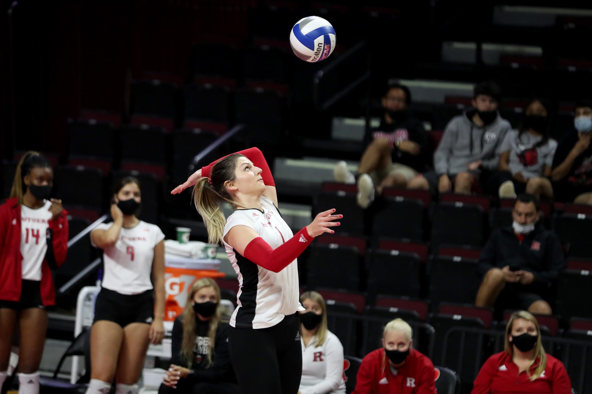 Beka Kojadinovic - Women's Volleyball - Rutgers University Athletics