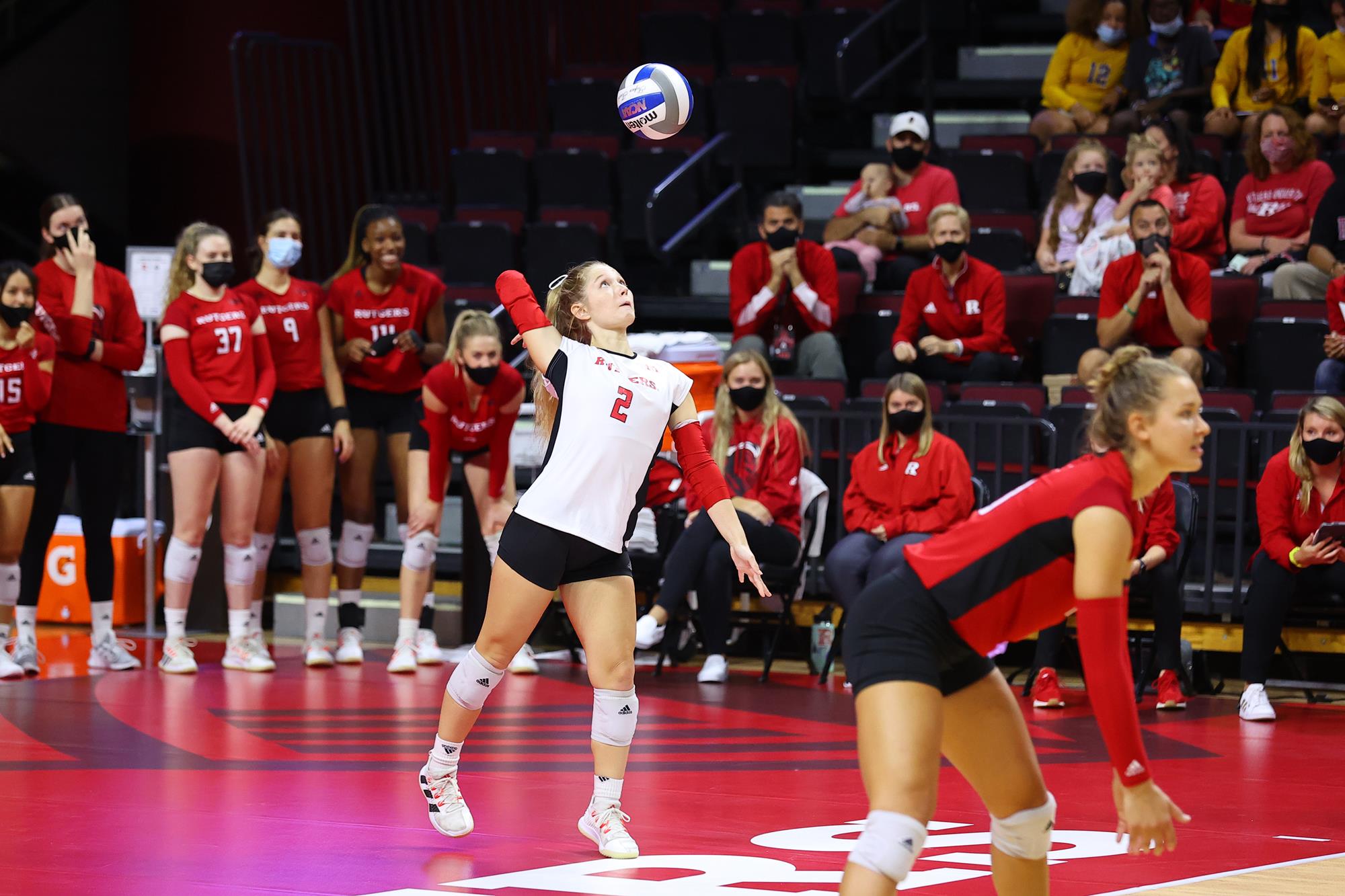 Madyson Chitty - Women's Volleyball - Rutgers University Athletics