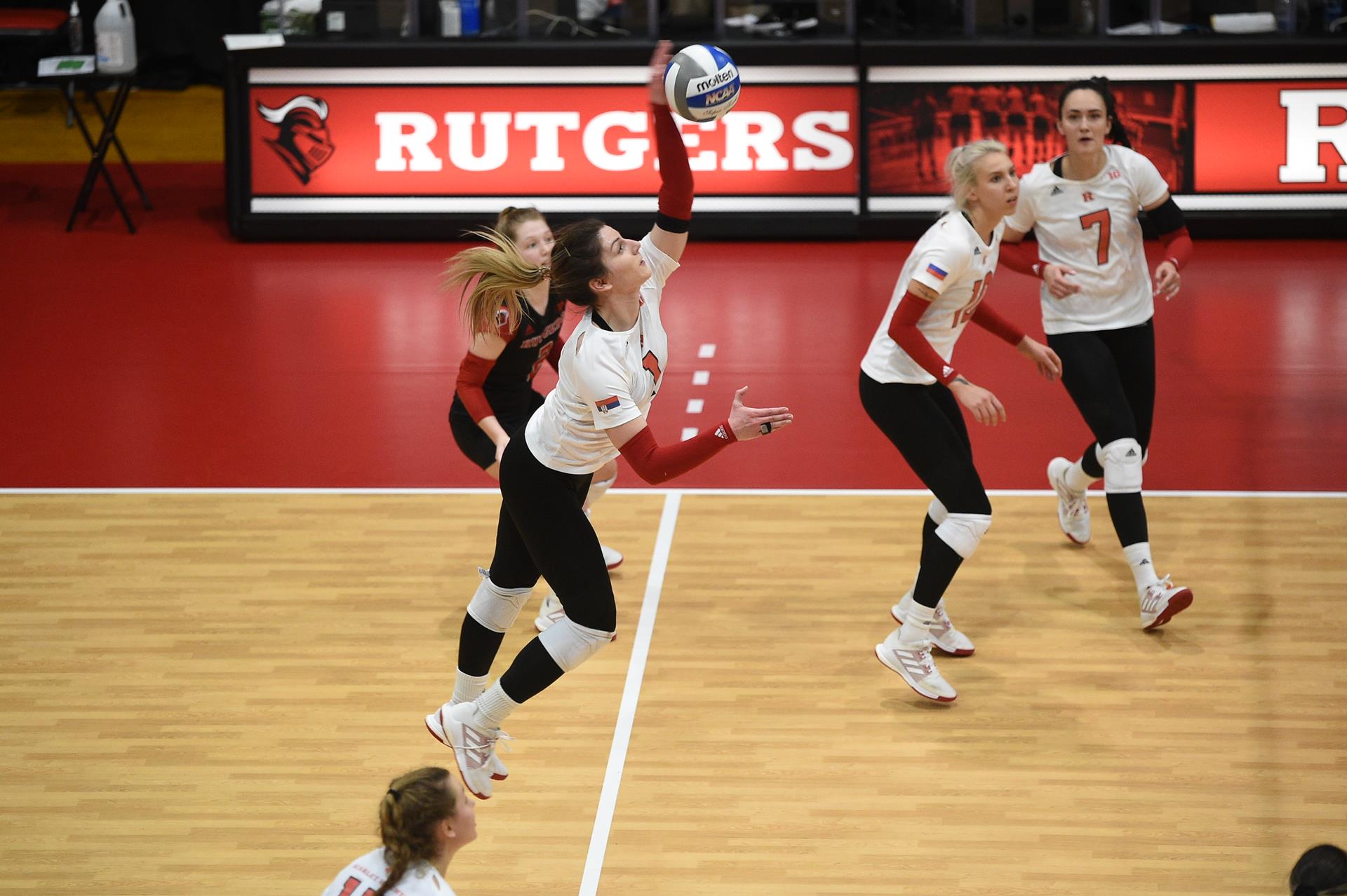 Beka Kojadinovic - Women's Volleyball - Rutgers University Athletics