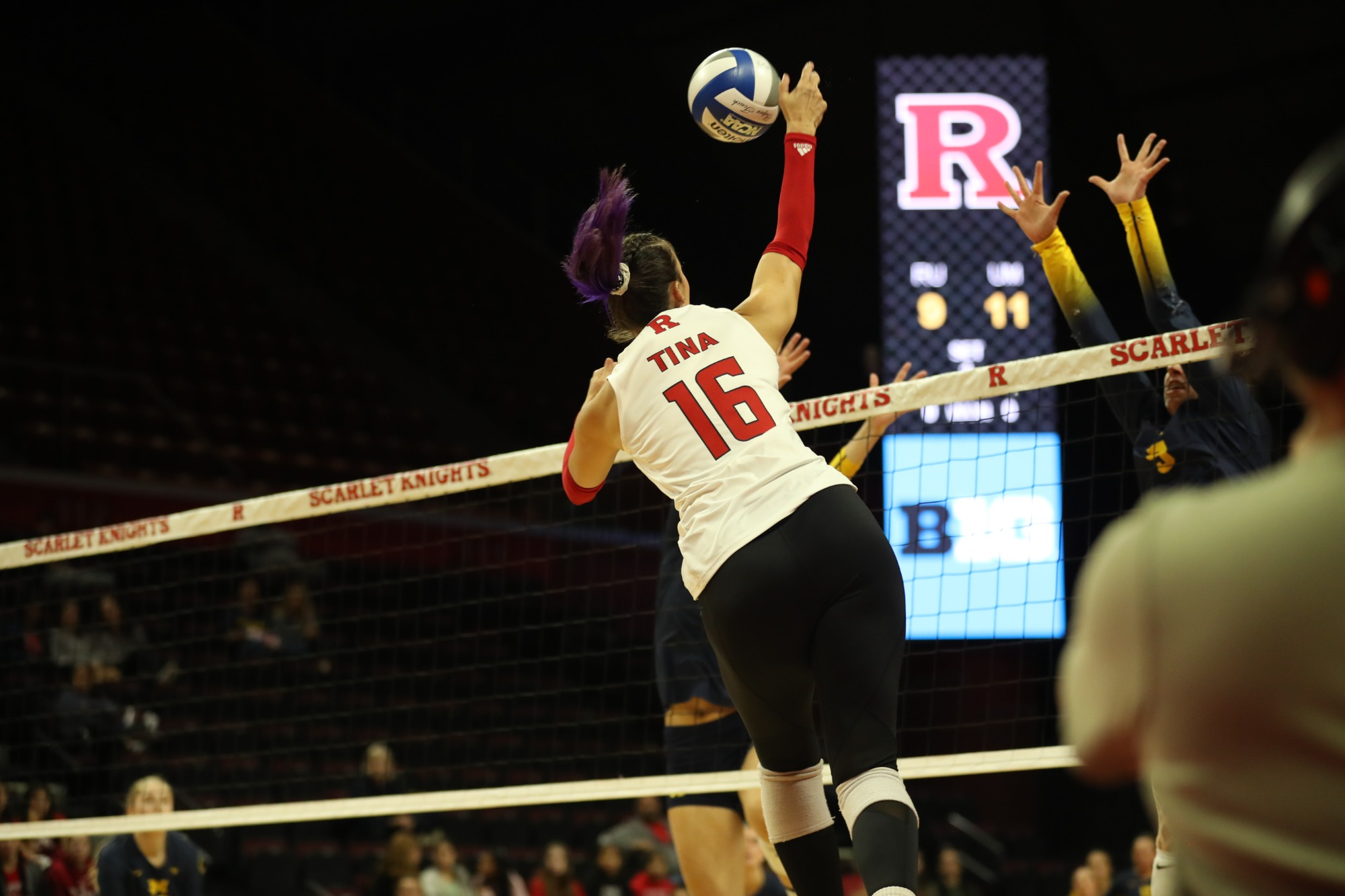 Kristina Grkovic - Women's Volleyball - Rutgers University Athletics