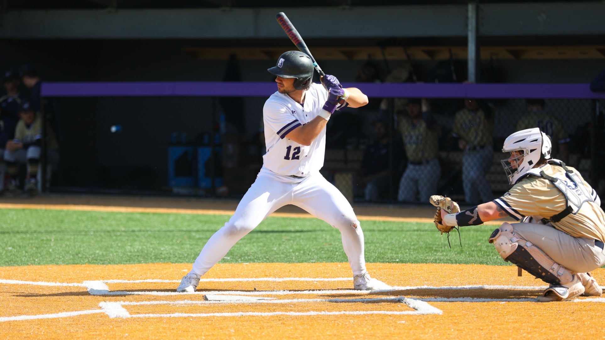 John Zarnowski - 2024 - Baseball - University of Scranton