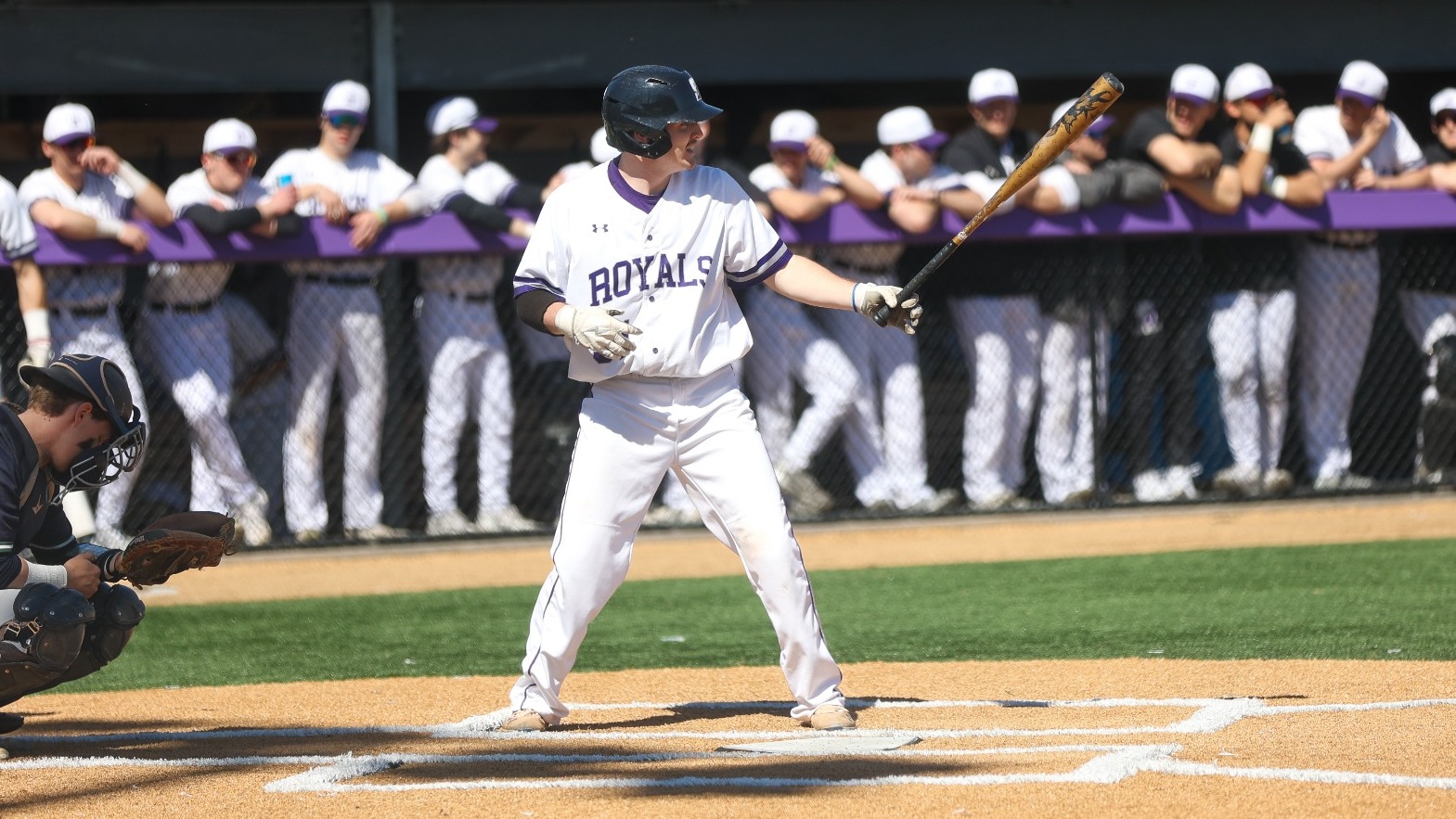 Nick Reposa - 2024 - Baseball - University of Scranton