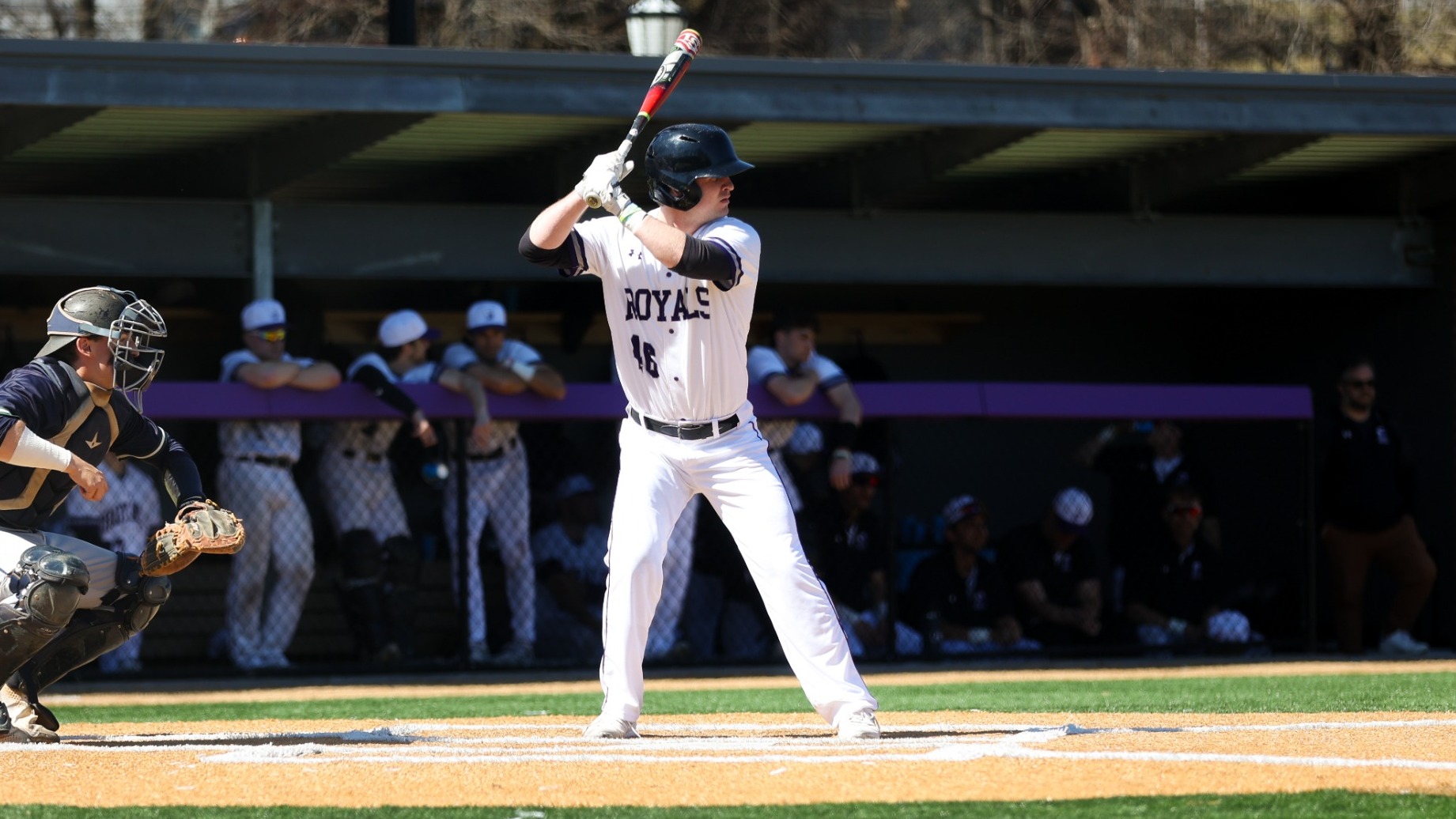Dan Crossan - 2023 - Baseball - University of Scranton