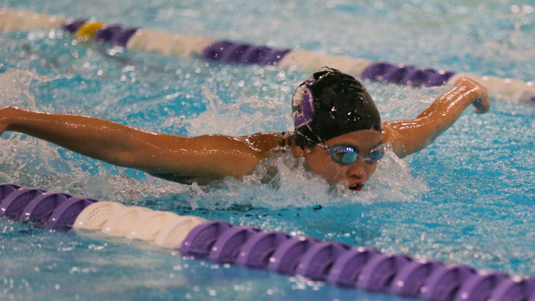 Michelle Kong - 2023-24 - Women's Swimming and Diving - University of ...