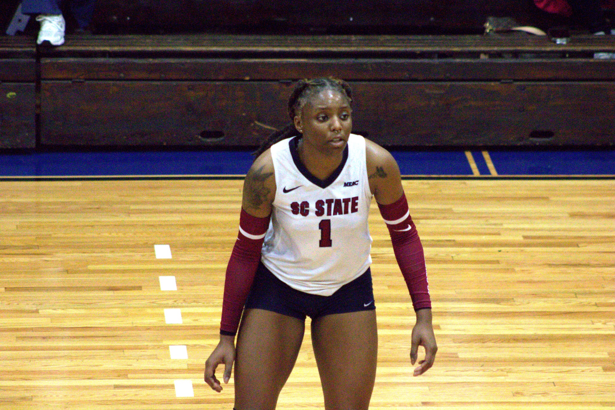 SC State Volleyball Releases 2025 Schedule - South Carolina State ...