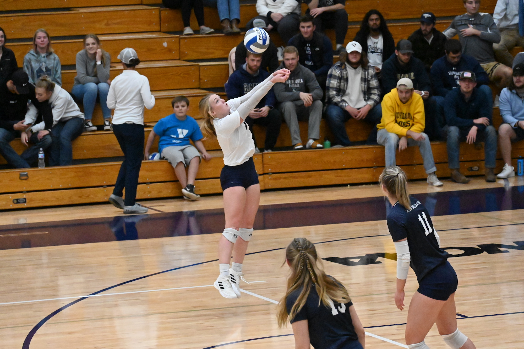 Addie Stanley - Women's Volleyball - South Dakota Mines
