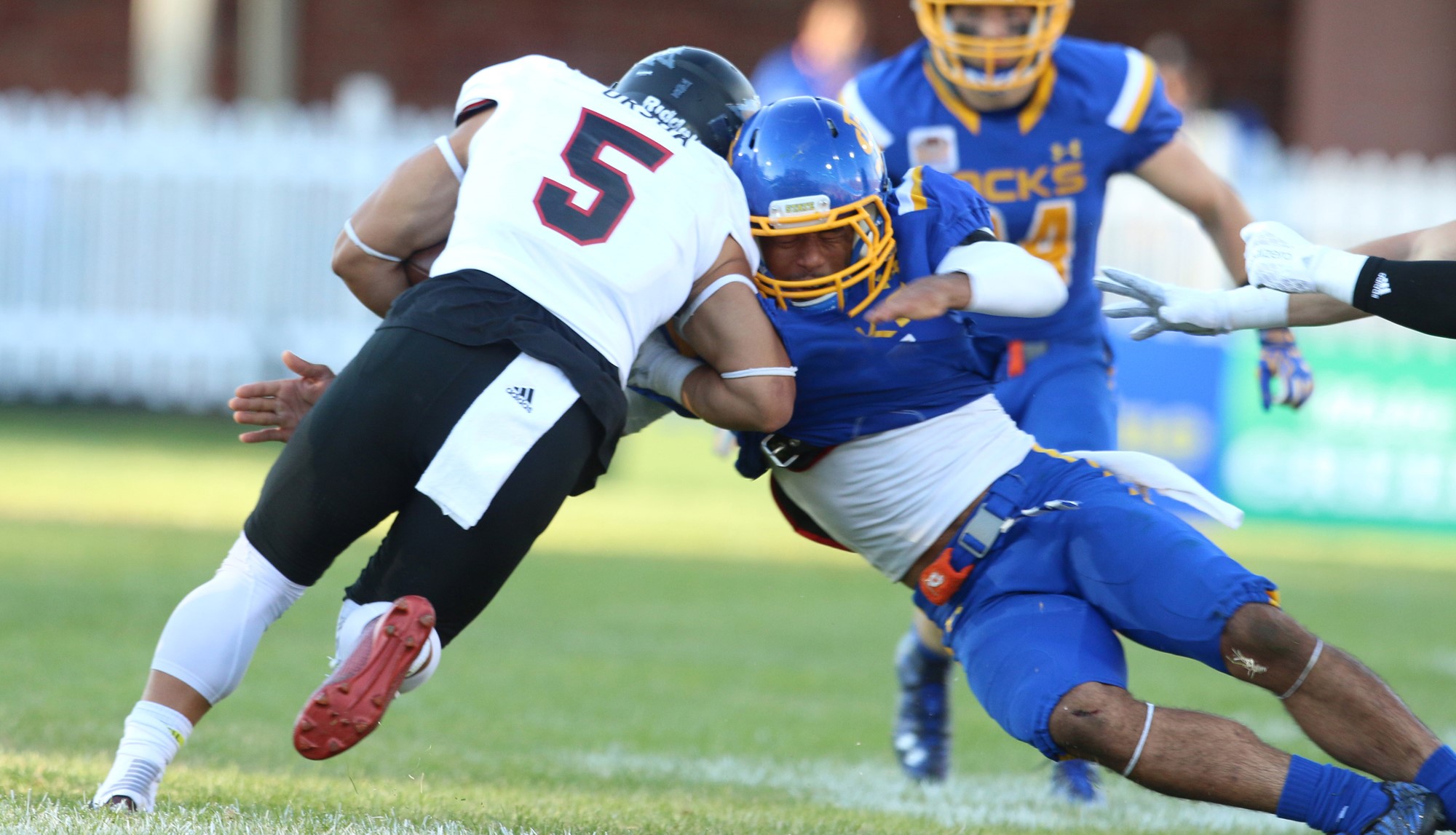 J.T. Hassell - 2015 - Football - South Dakota State University Athletics