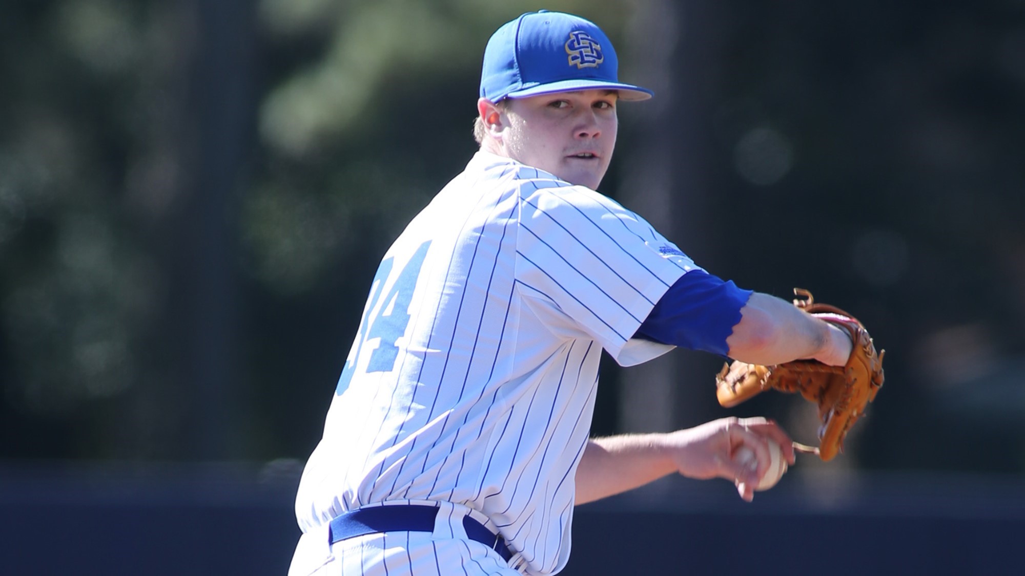 Landon Busch - 2017 - Baseball - South Dakota State University Athletics