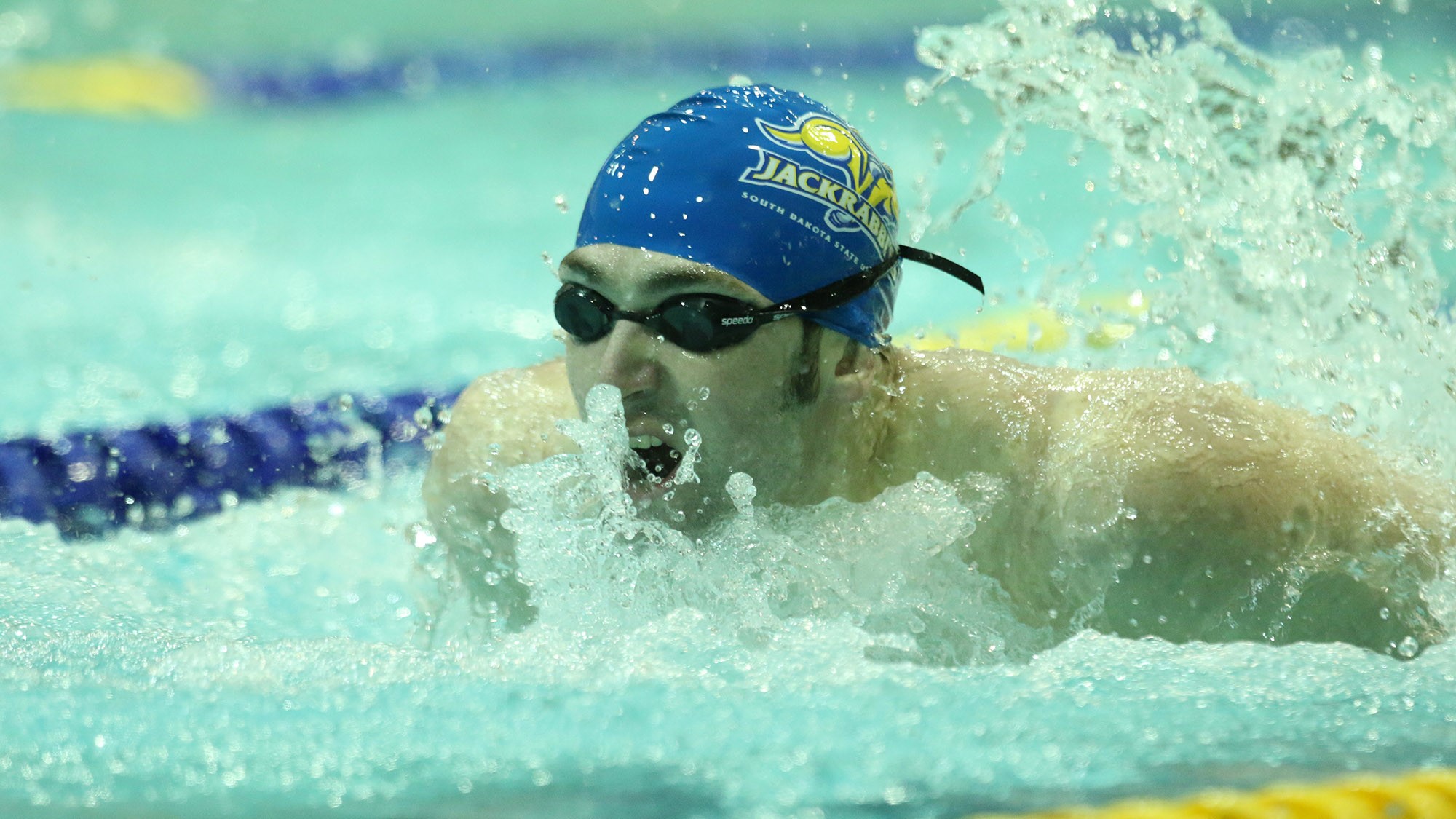 Donovan Taylor - 2016-17 - Men's Swimming and Diving - South Dakota ...