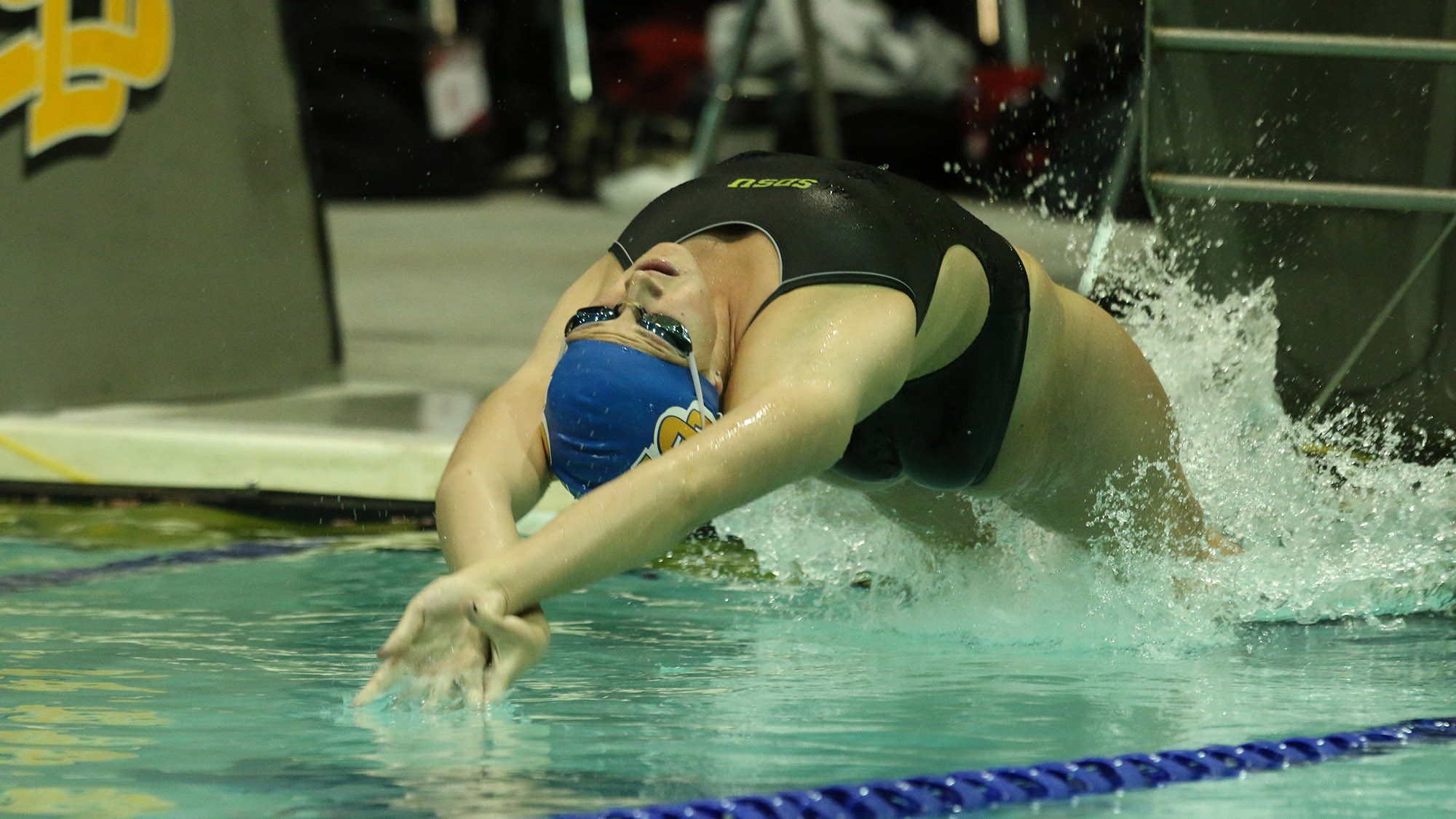 Cassie Hendricks - 2017-18 - Women's Swimming and Diving - South Dakota ...