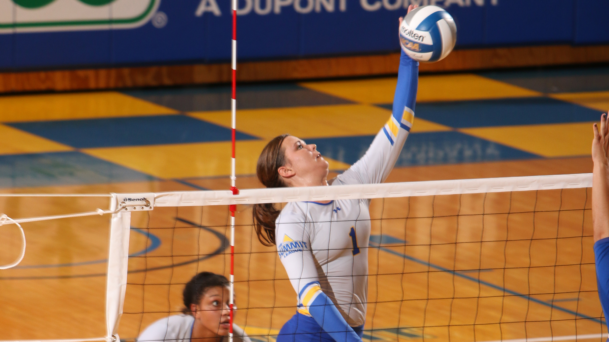 Ashley Beaner - 2016 - Women's Volleyball - South Dakota State ...