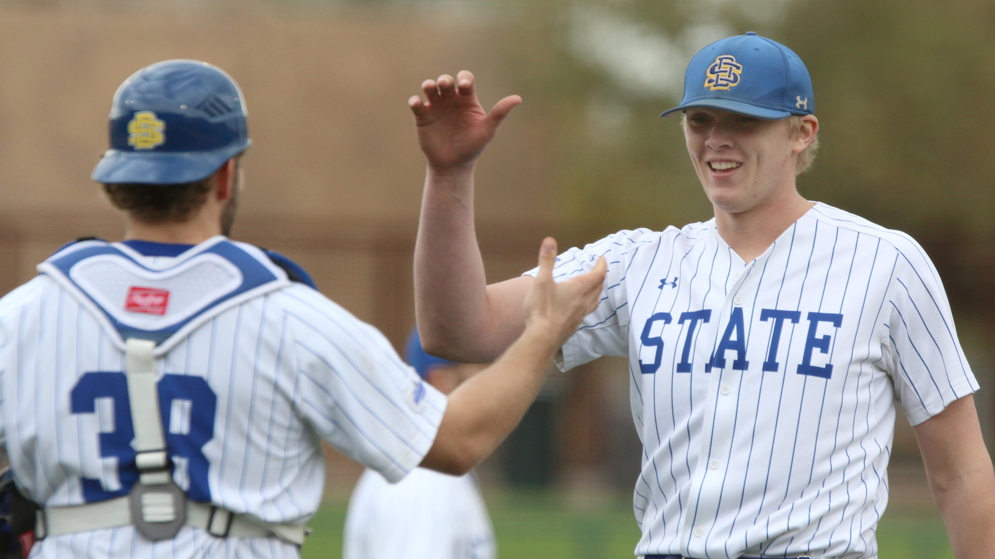 Chris Halbur - 2017 - Baseball - South Dakota State University Athletics