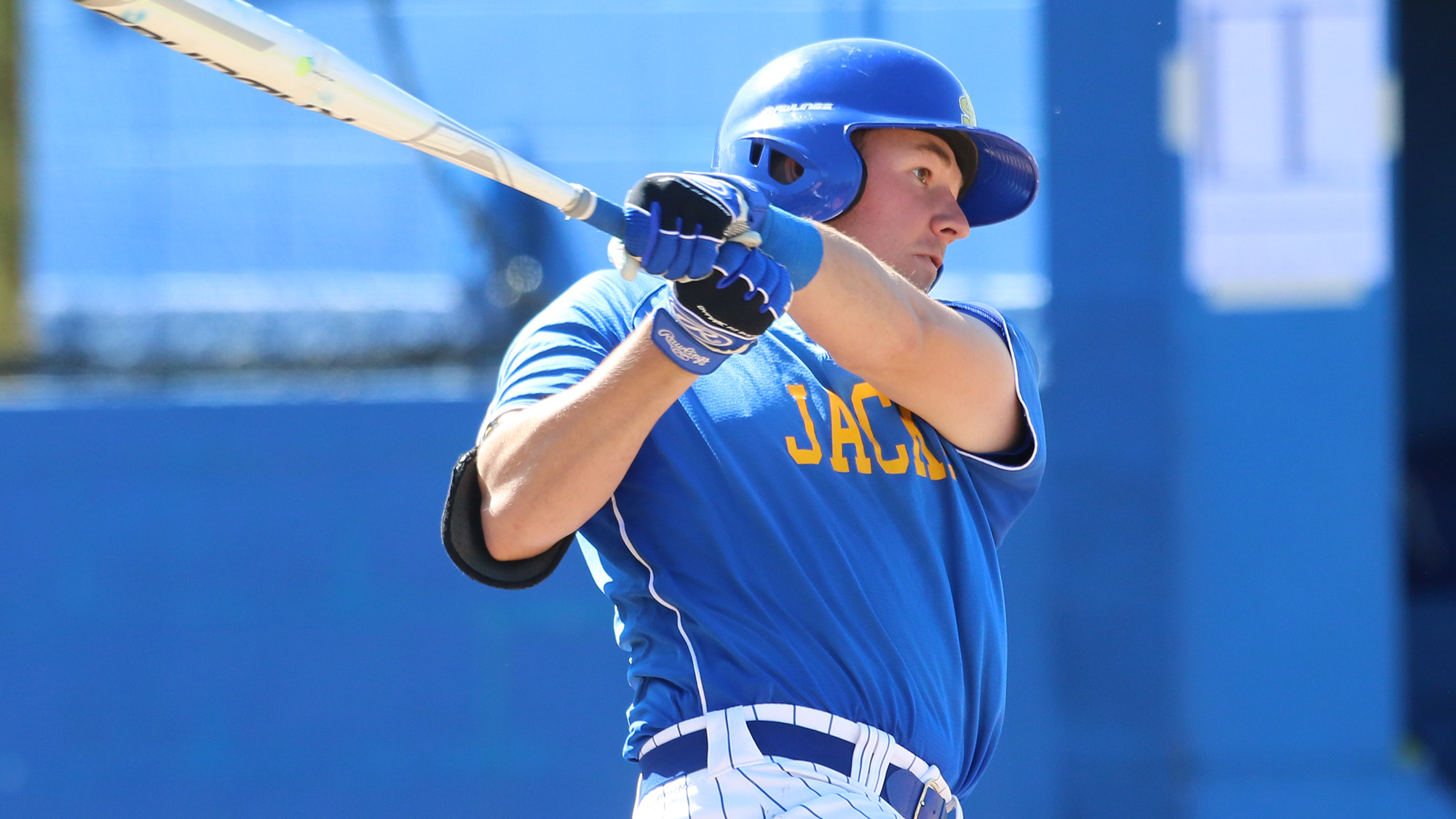 Matt Johnson - 2017 - Baseball - South Dakota State University Athletics