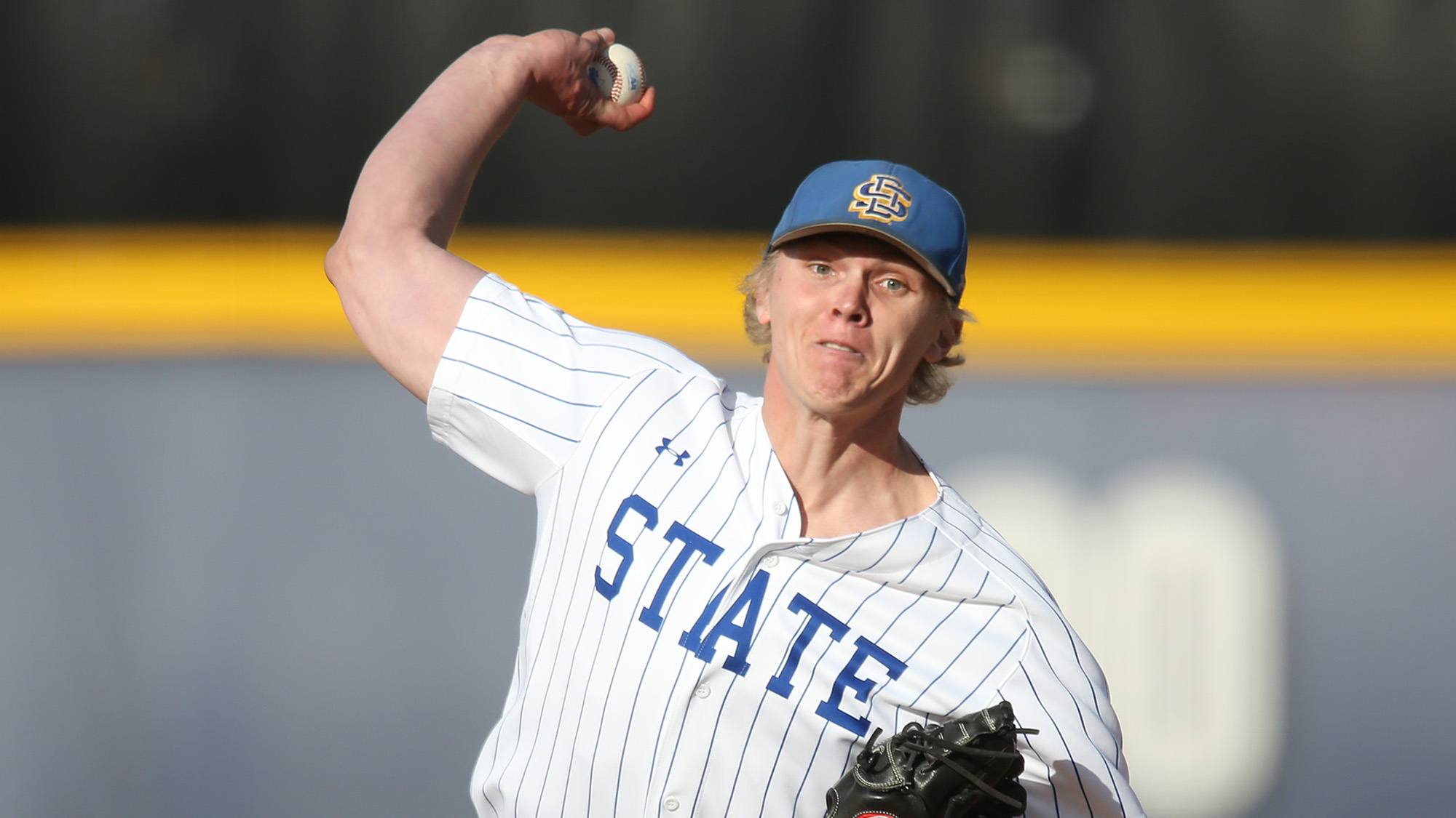 Chris Halbur - 2017 - Baseball - South Dakota State University Athletics