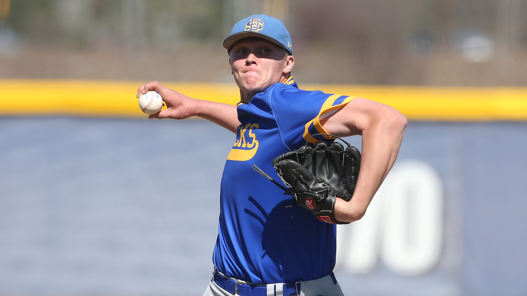 Chris Halbur - 2017 - Baseball - South Dakota State University Athletics