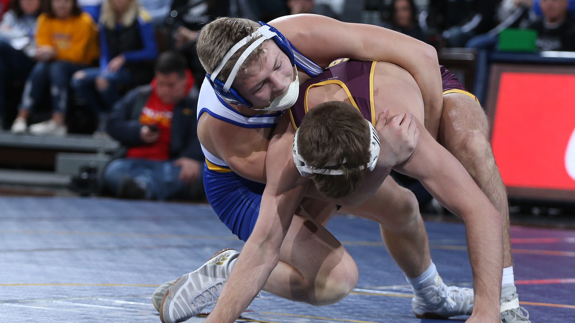 Rylee Molitor - 2020-21 - Wrestling - South Dakota State University ...