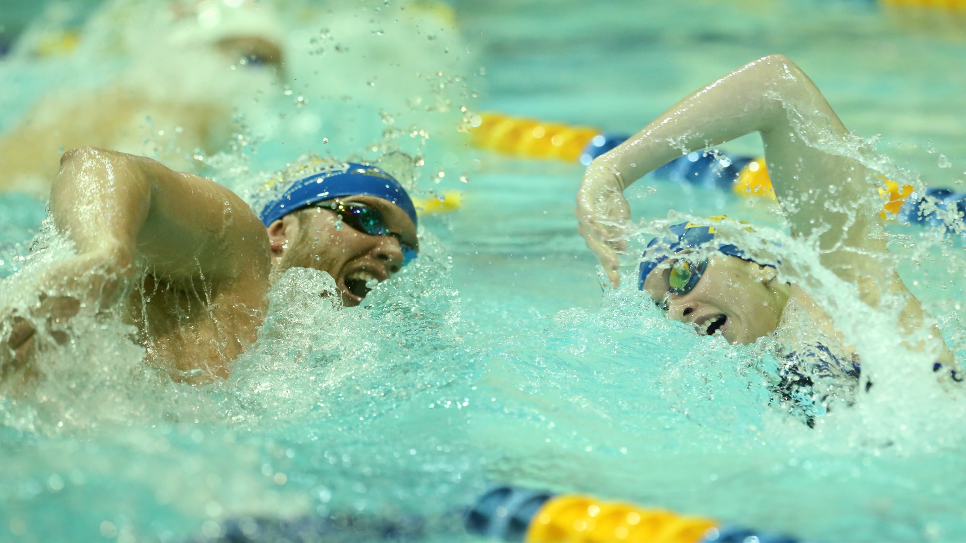 Ben Johnson - 2018-19 - Men's Swimming and Diving - South Dakota State ...