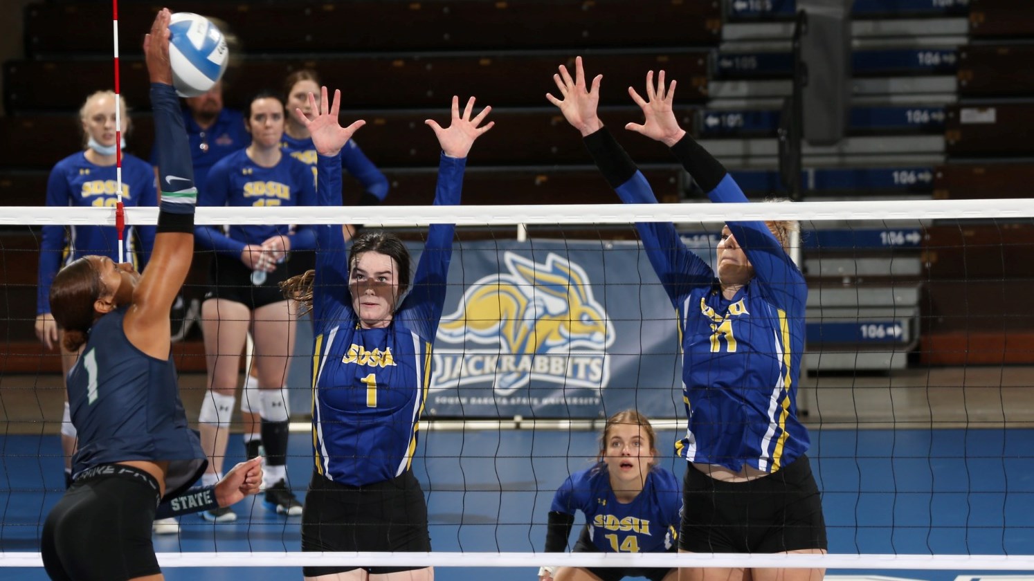 Raegen Reilly - 2023 - Women's Volleyball - South Dakota State ...