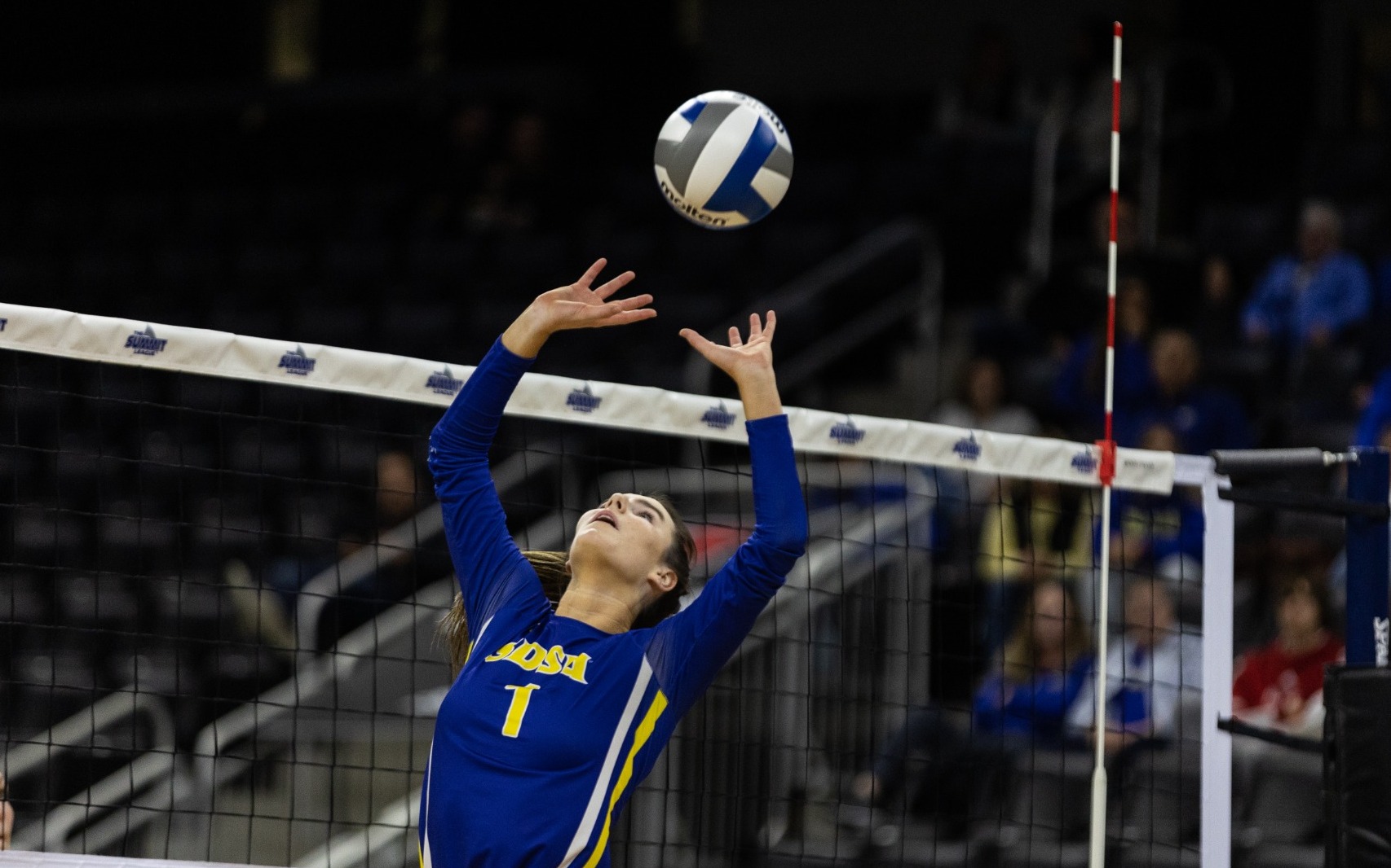 Raegen Reilly - 2023 - Women's Volleyball - South Dakota State ...