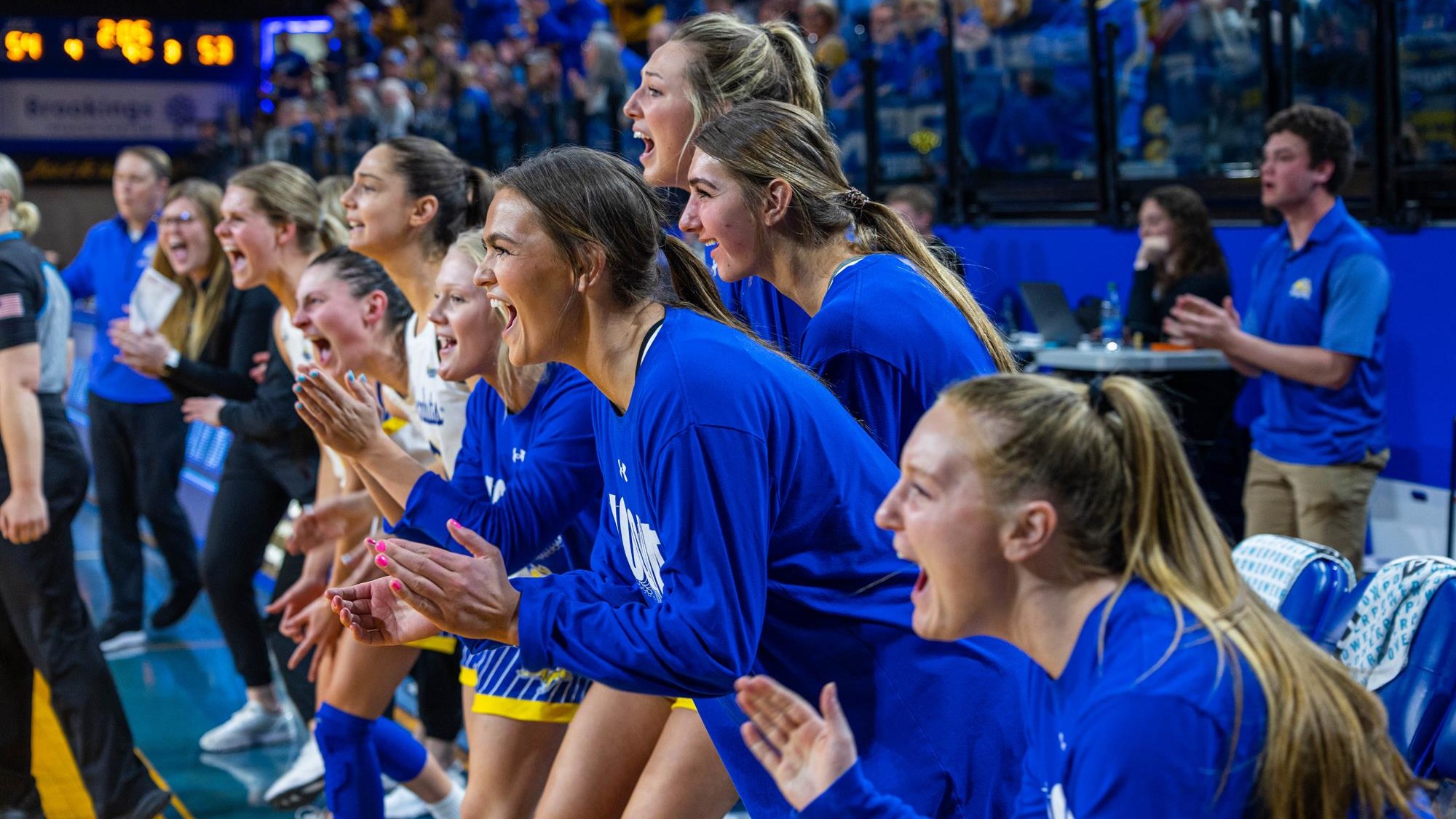 Addison Hirschman - 2021-22 - Women's Basketball - South Dakota State ...