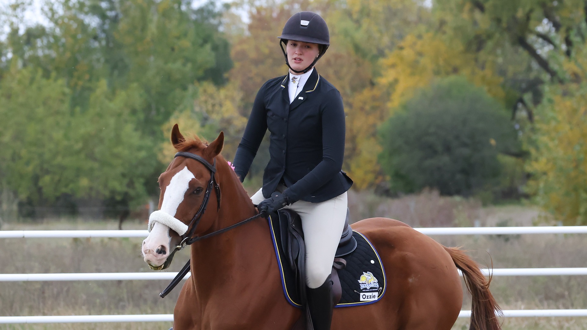 Julia Werkhoven - 2023-24 - Equestrian - South Dakota State University ...
