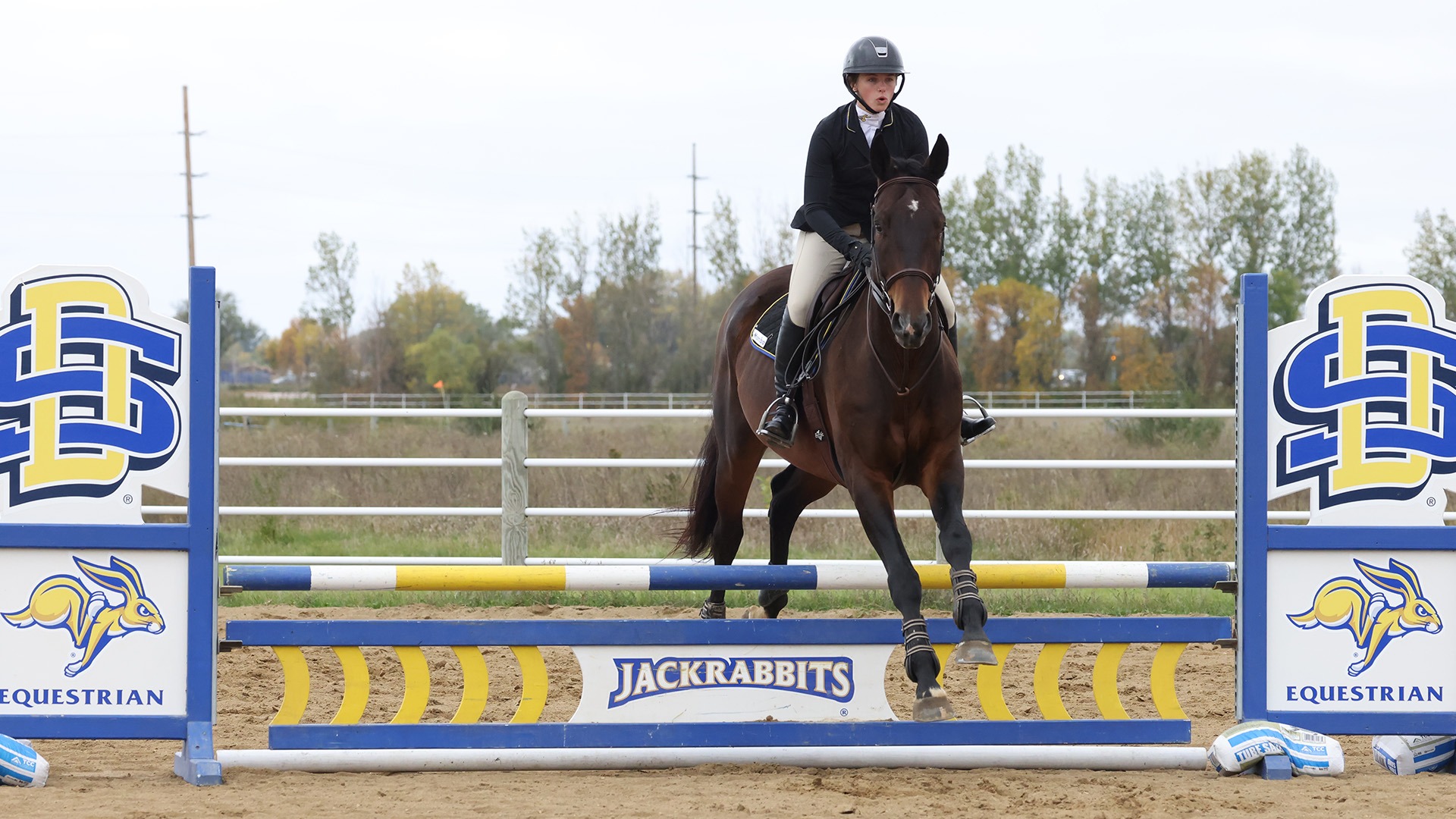 Sophia Kregoski - 2023-24 - Equestrian - South Dakota State University ...