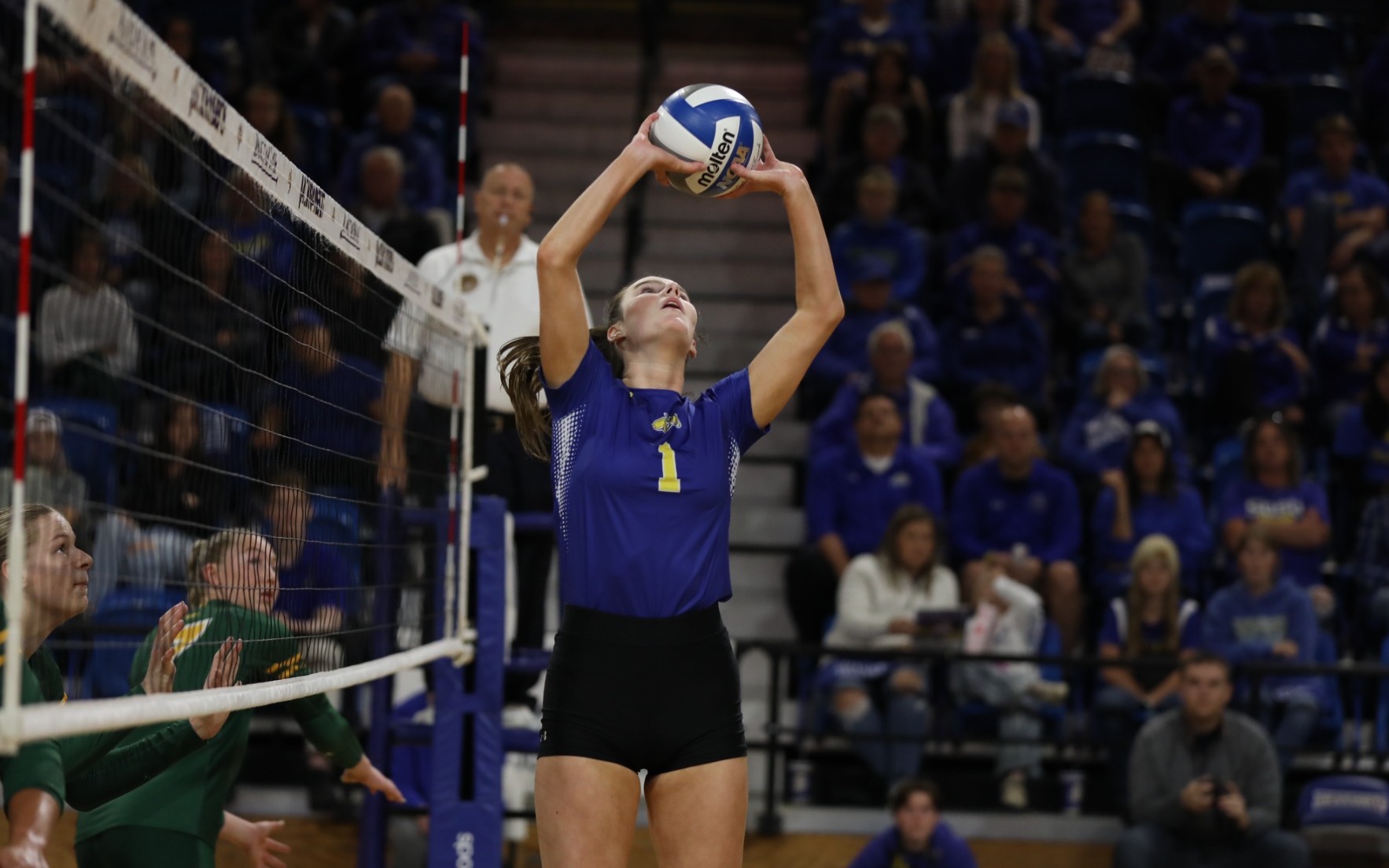 Raegen Reilly - 2023 - Women's Volleyball - South Dakota State ...