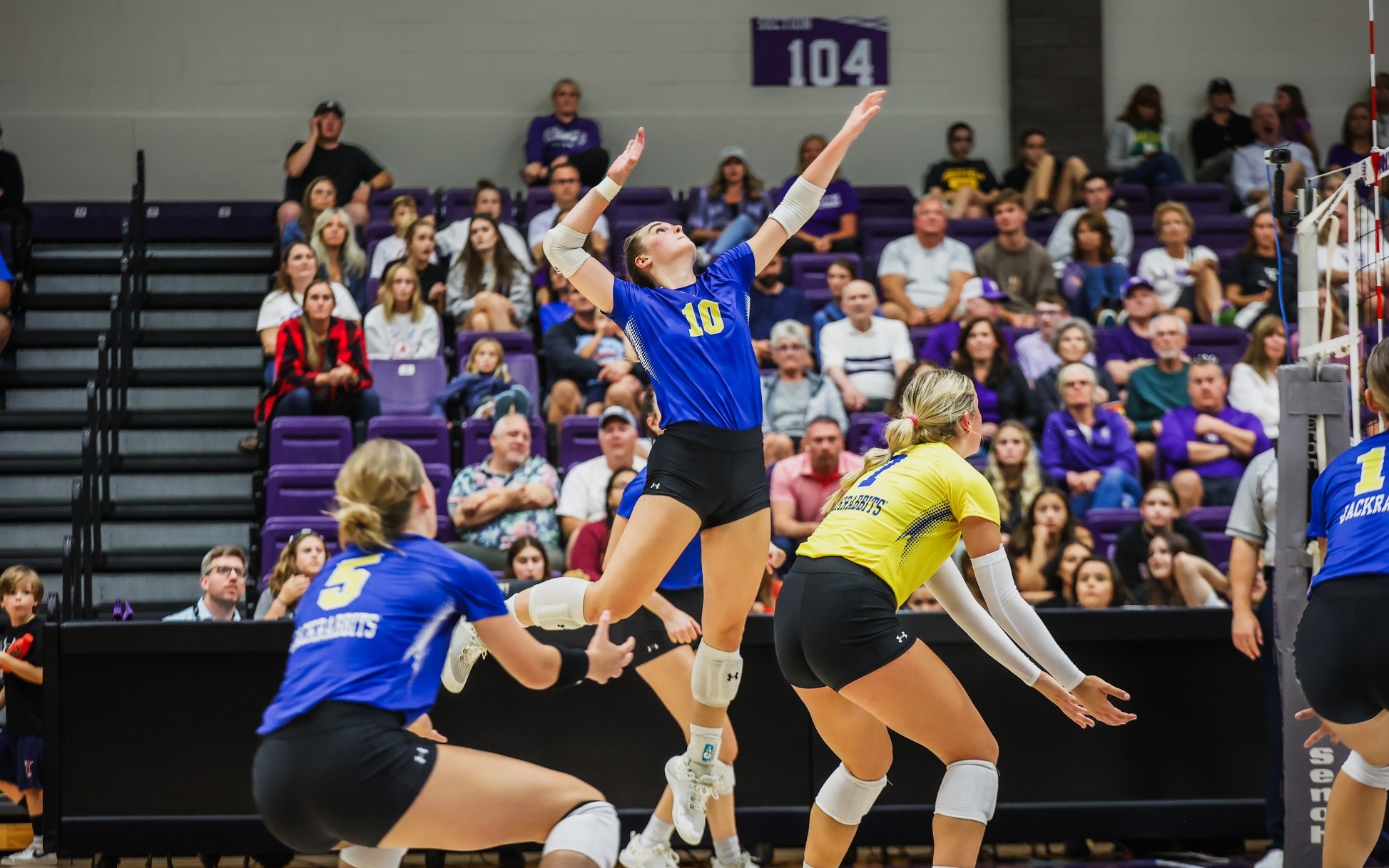 Sylvie Zgonc - 2023 - Women's Volleyball - South Dakota State ...