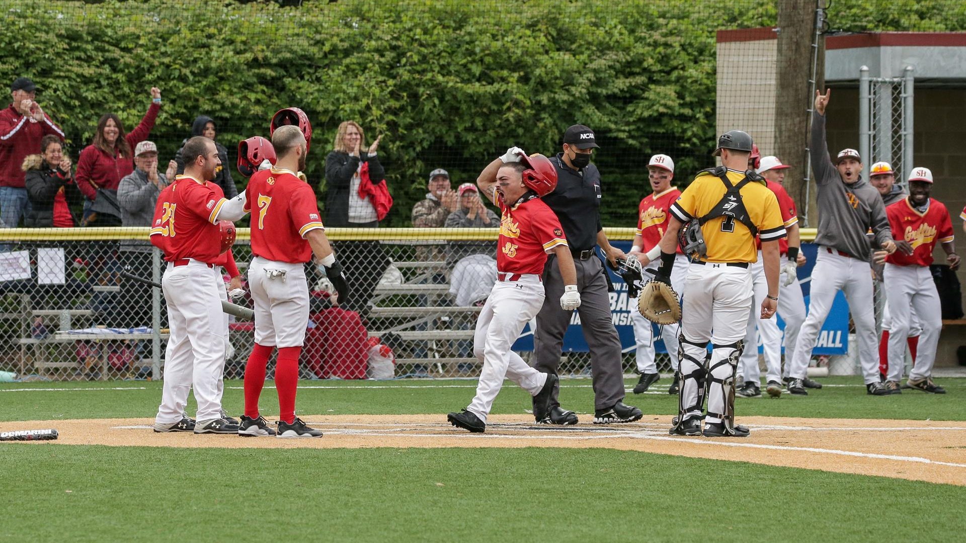 Vincenzo Rauso - Baseball - Seton Hill University Athletics