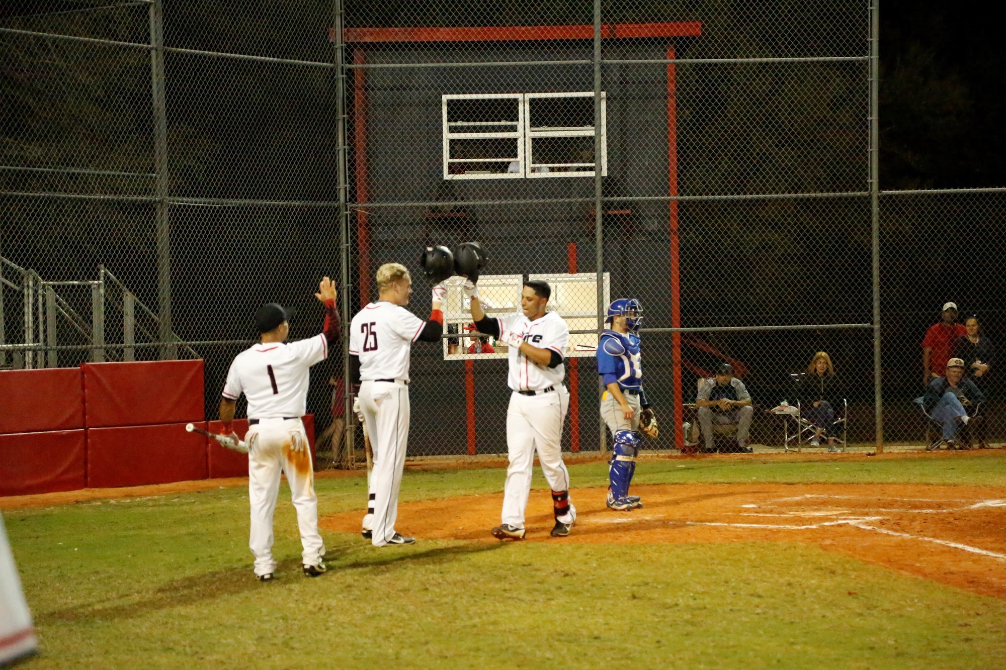 Danny Acevedo - 2017 - Baseball - Southeastern University Athletics